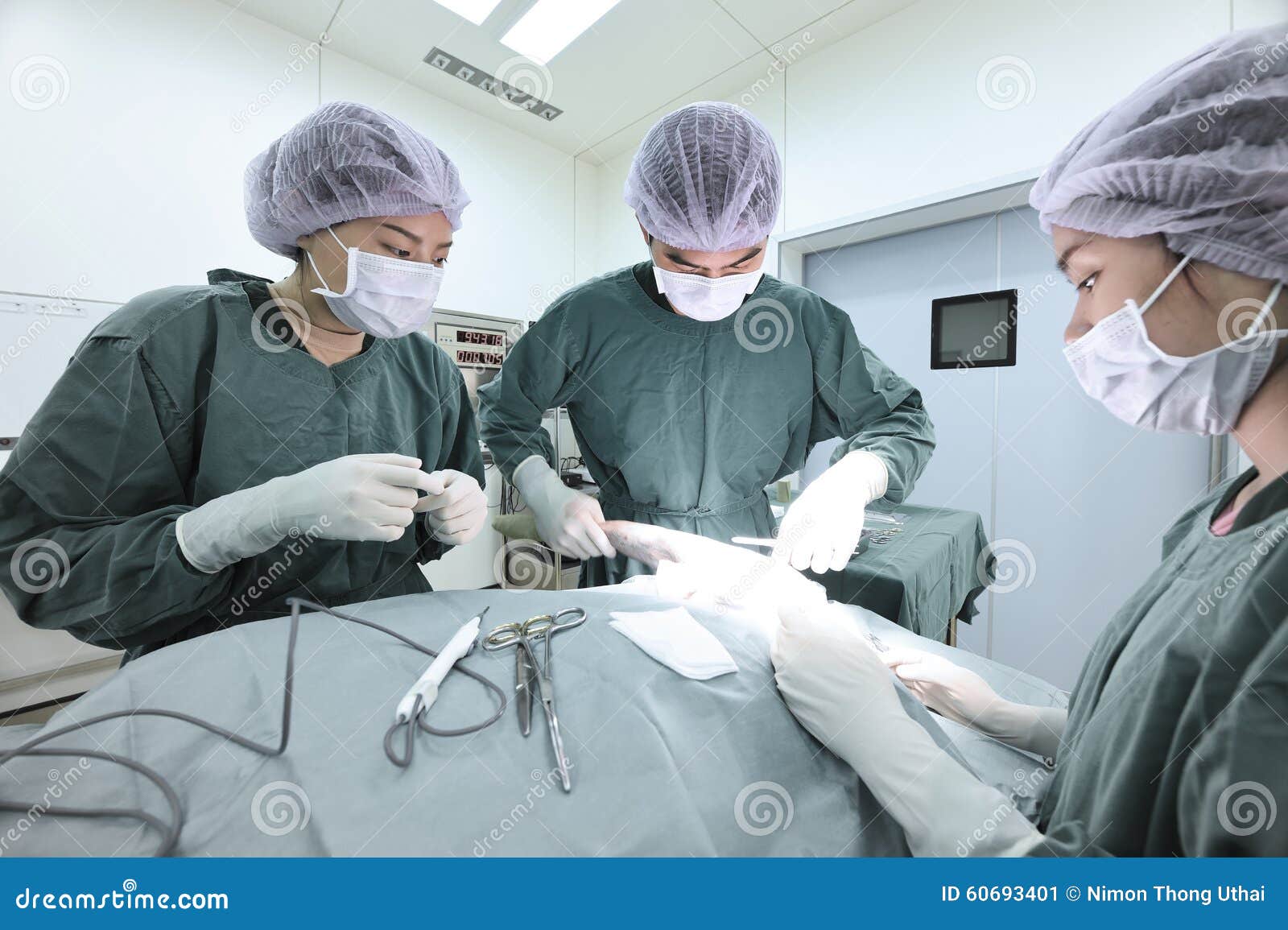 Group of Veterinarian Surgery in Operation Room Stock Image - Image of ...