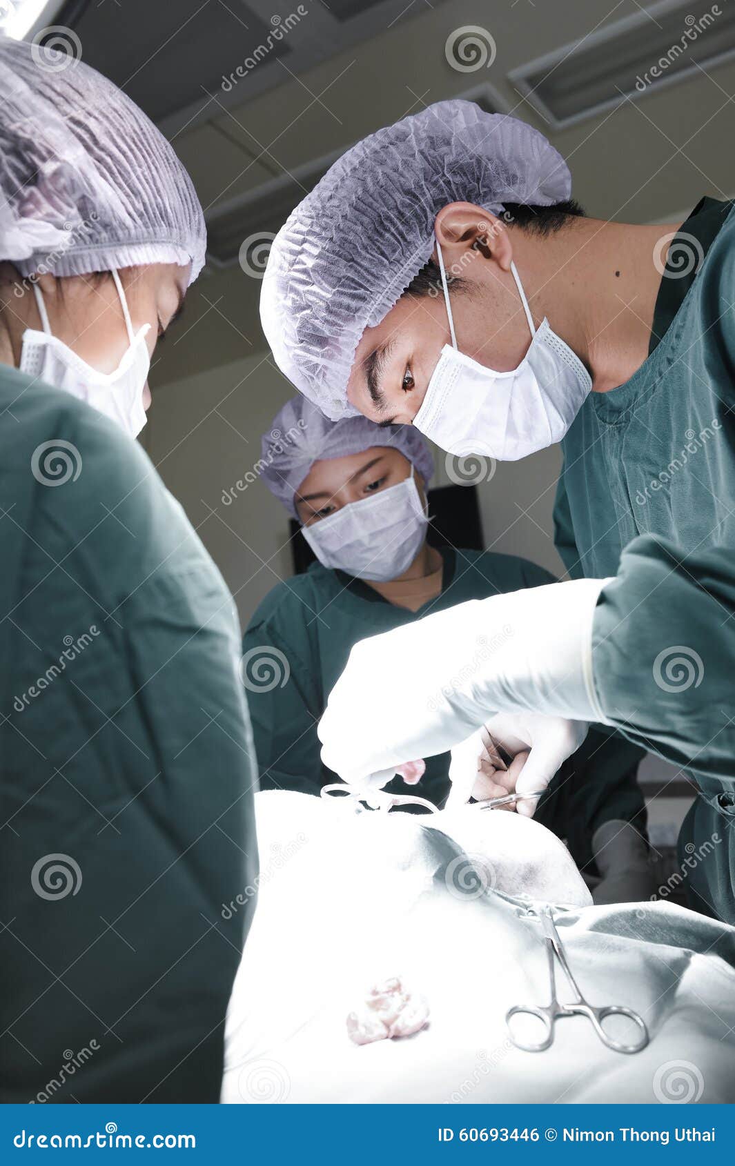 Group of Veterinarian Surgery in Operation Room Stock Photo - Image of ...