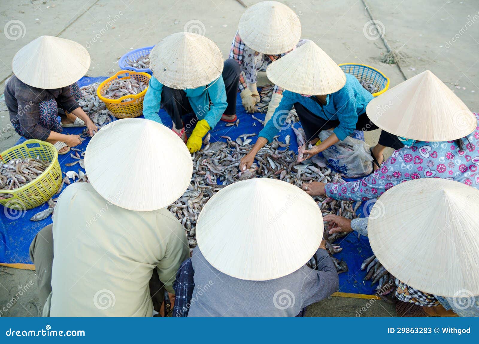 Vietnamese fishers editorial stock photo. Image of asia - 29863283