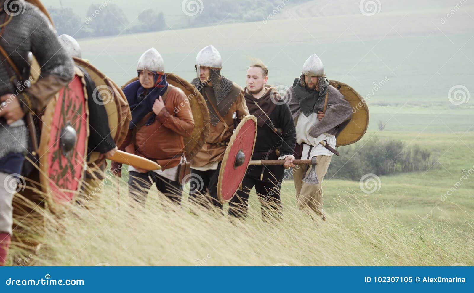 Group of Viking with Shields Walking Forward on the Meadow Stock Video ...