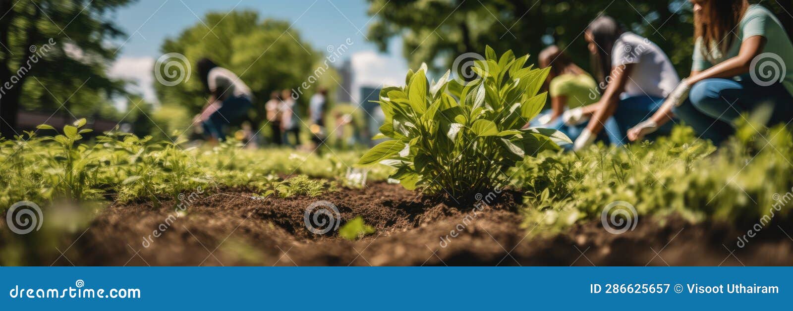 Creating Collaboration Line Icons Signs Set. Design Collection Of ...