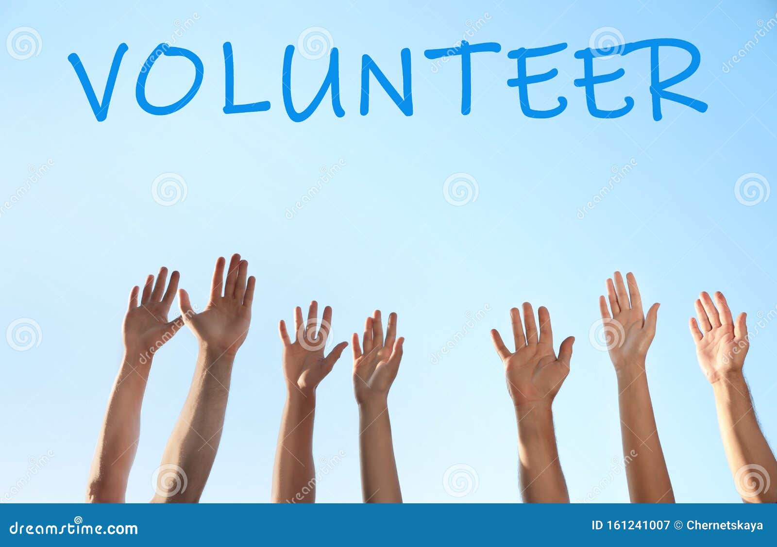 Group Of Eco Volunteers Planting Tree Sapling In Public Park, Nature ...