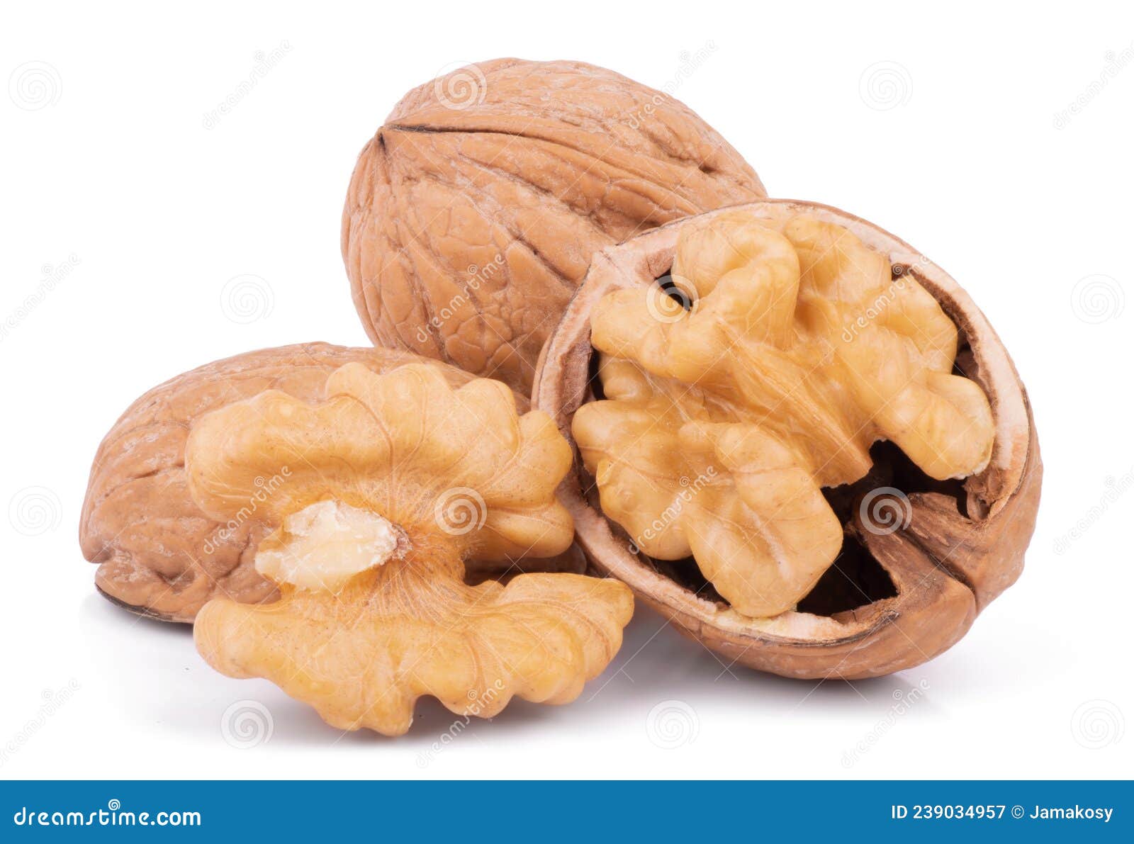 Group of Wallnuts Isolated on White Background Stock Image - Image of ...