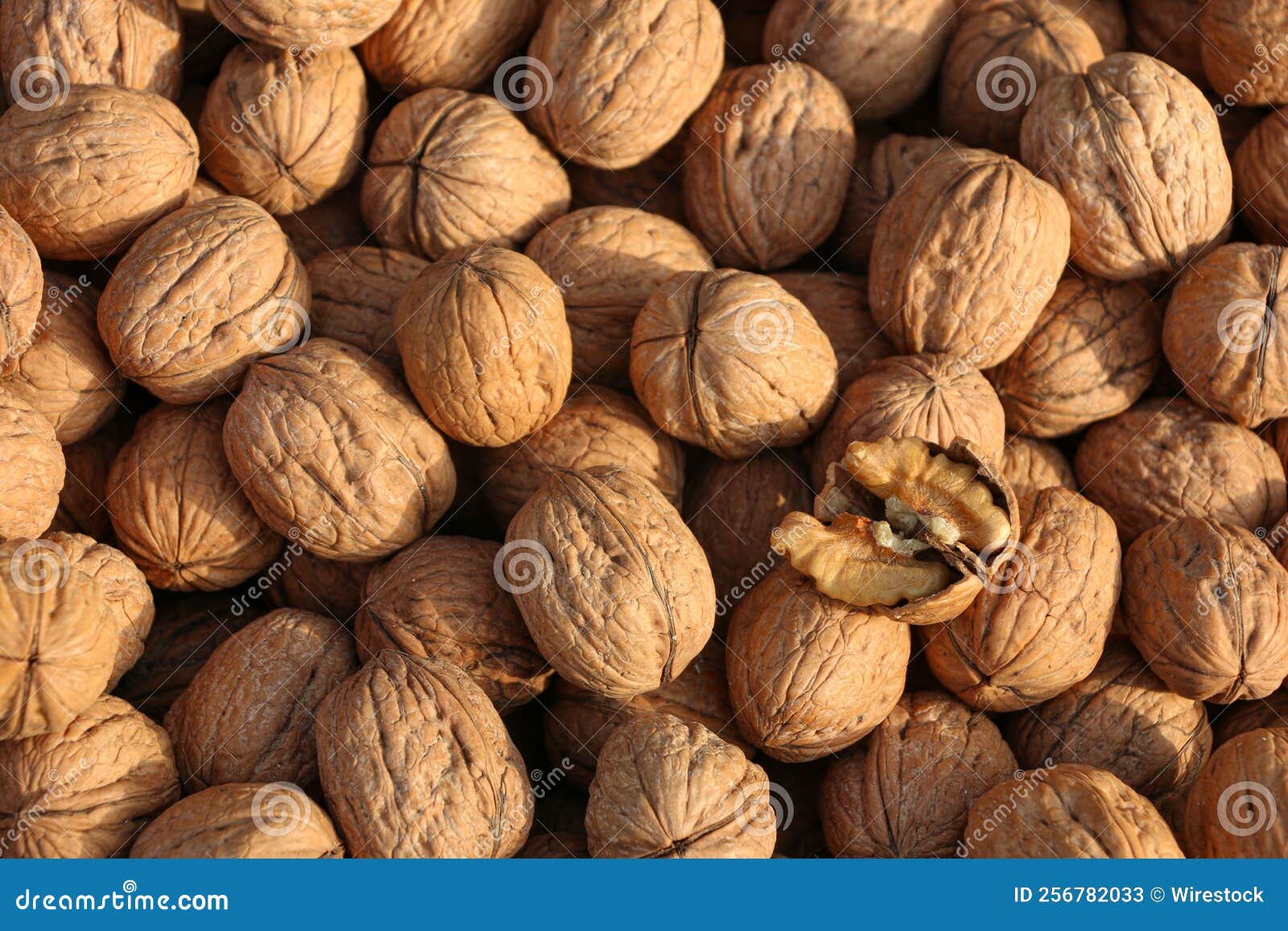 Group of Walnuts with One Cracked Piece Shell. Stock Image - Image of ...