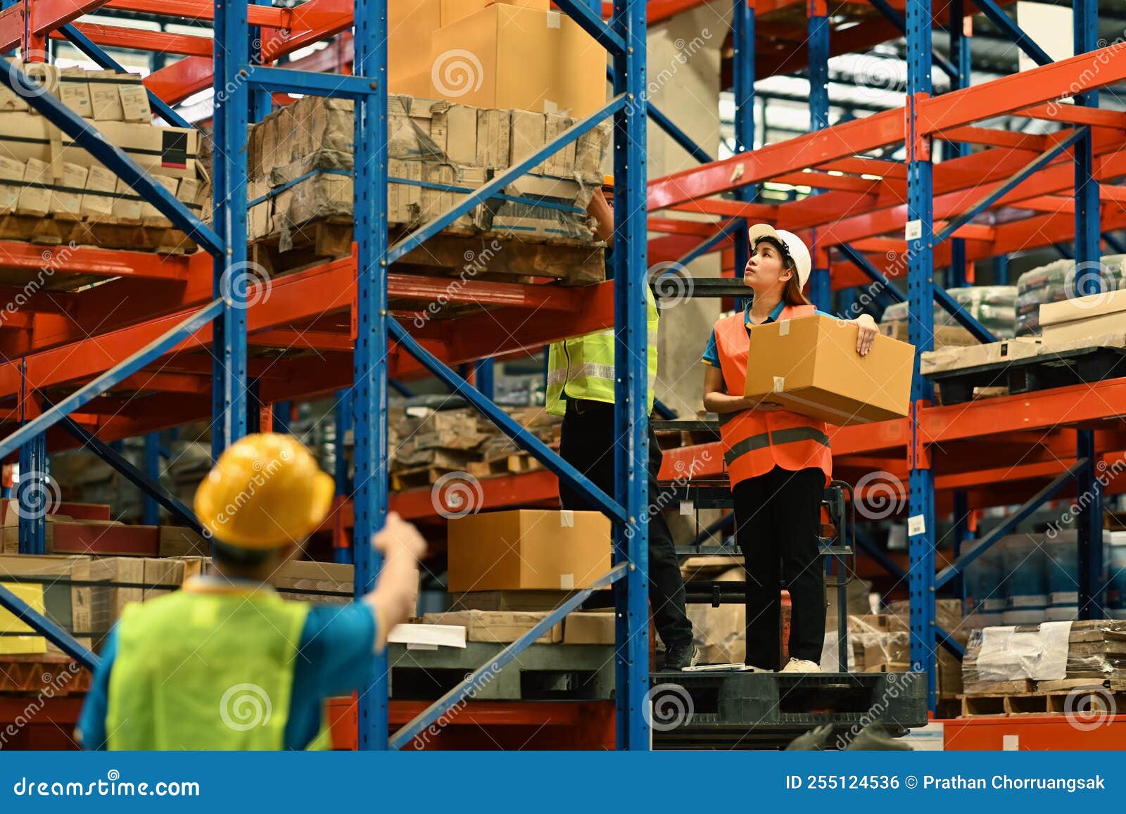 Group of Warehouse Workers Working in a Large Warehouse between Rows of ...