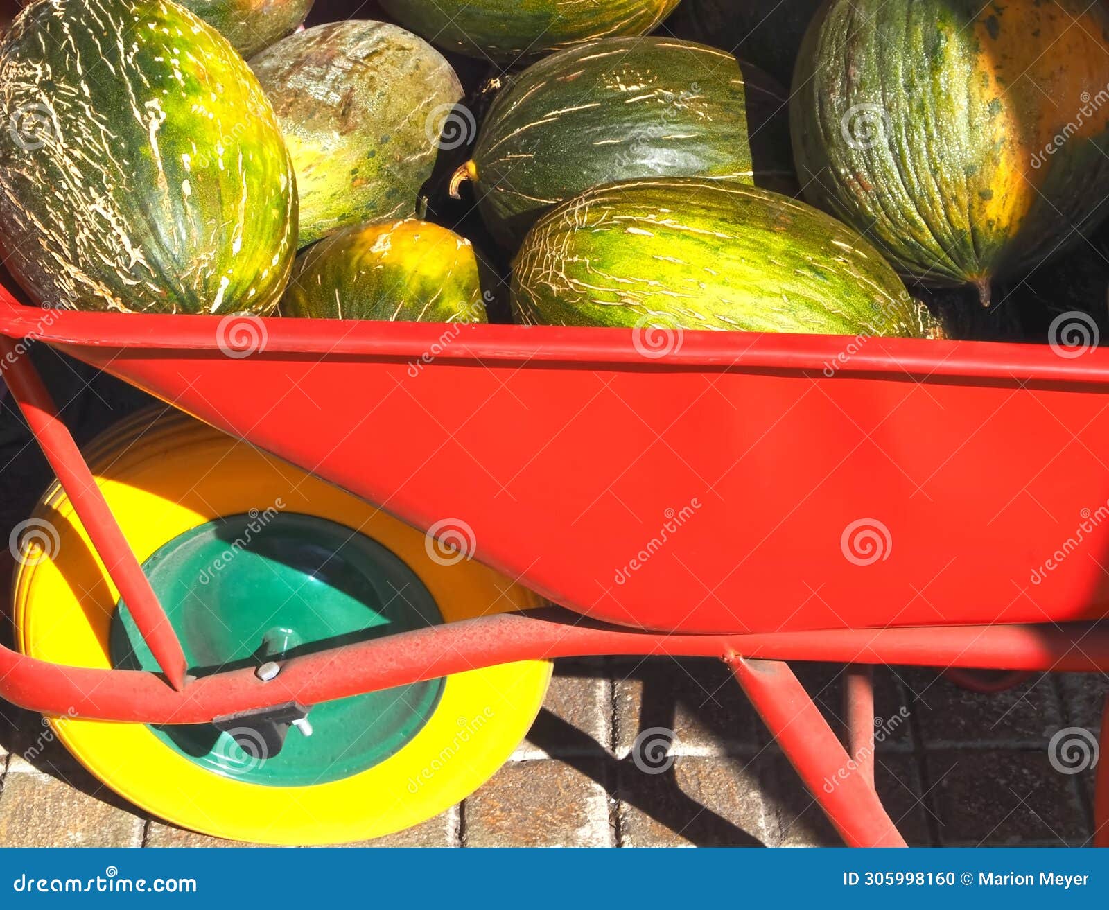 Modified Wheelbarrow With Two Front Wheels Royalty-Free Stock ...