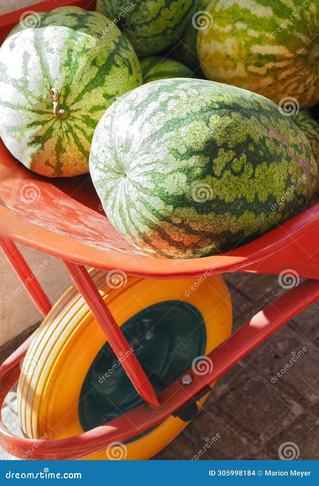 Modified Wheelbarrow With Two Front Wheels Royalty-Free Stock ...