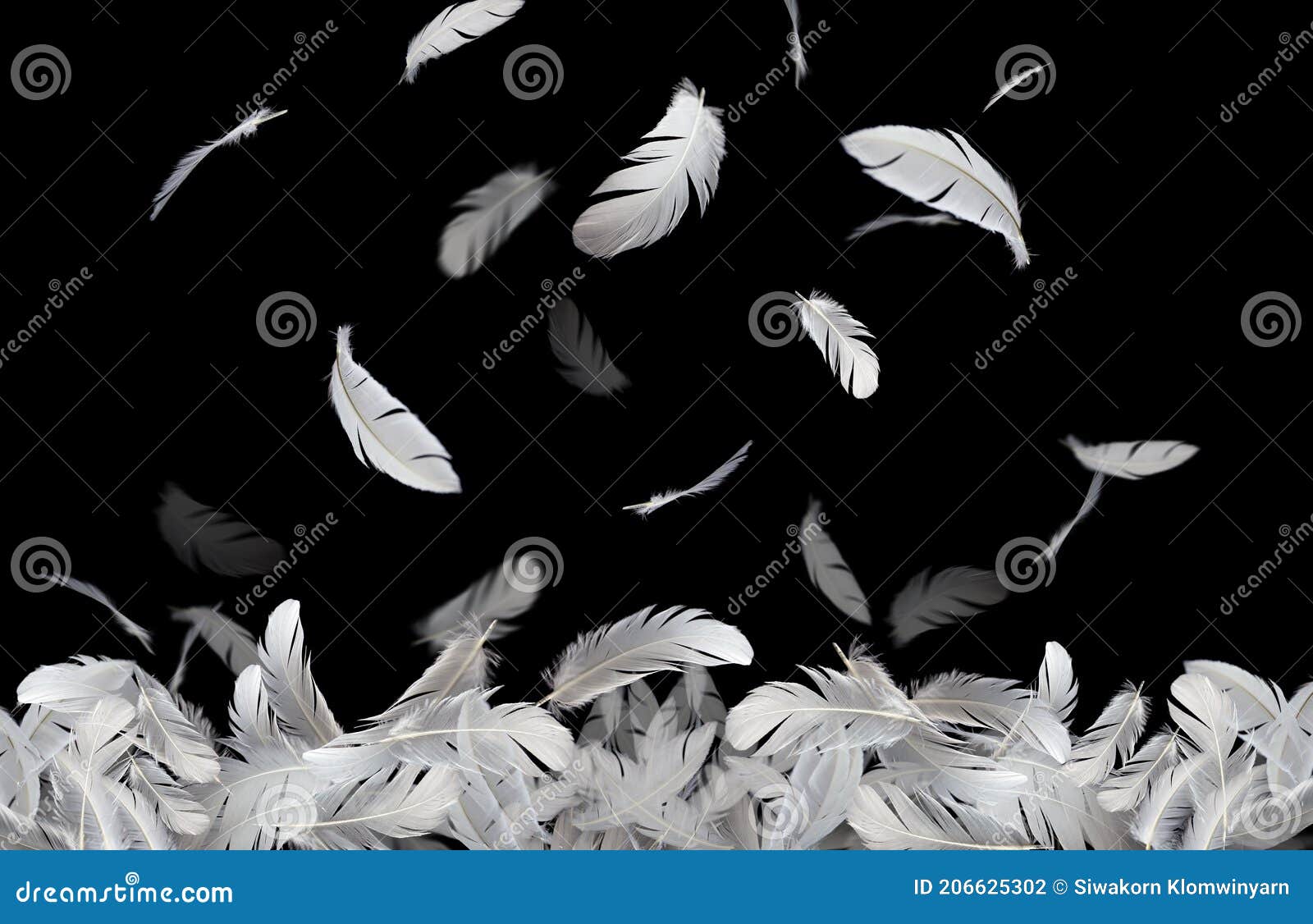 Group of White Bird Feathers Falling Down in the Dark. Feather Abstract ...