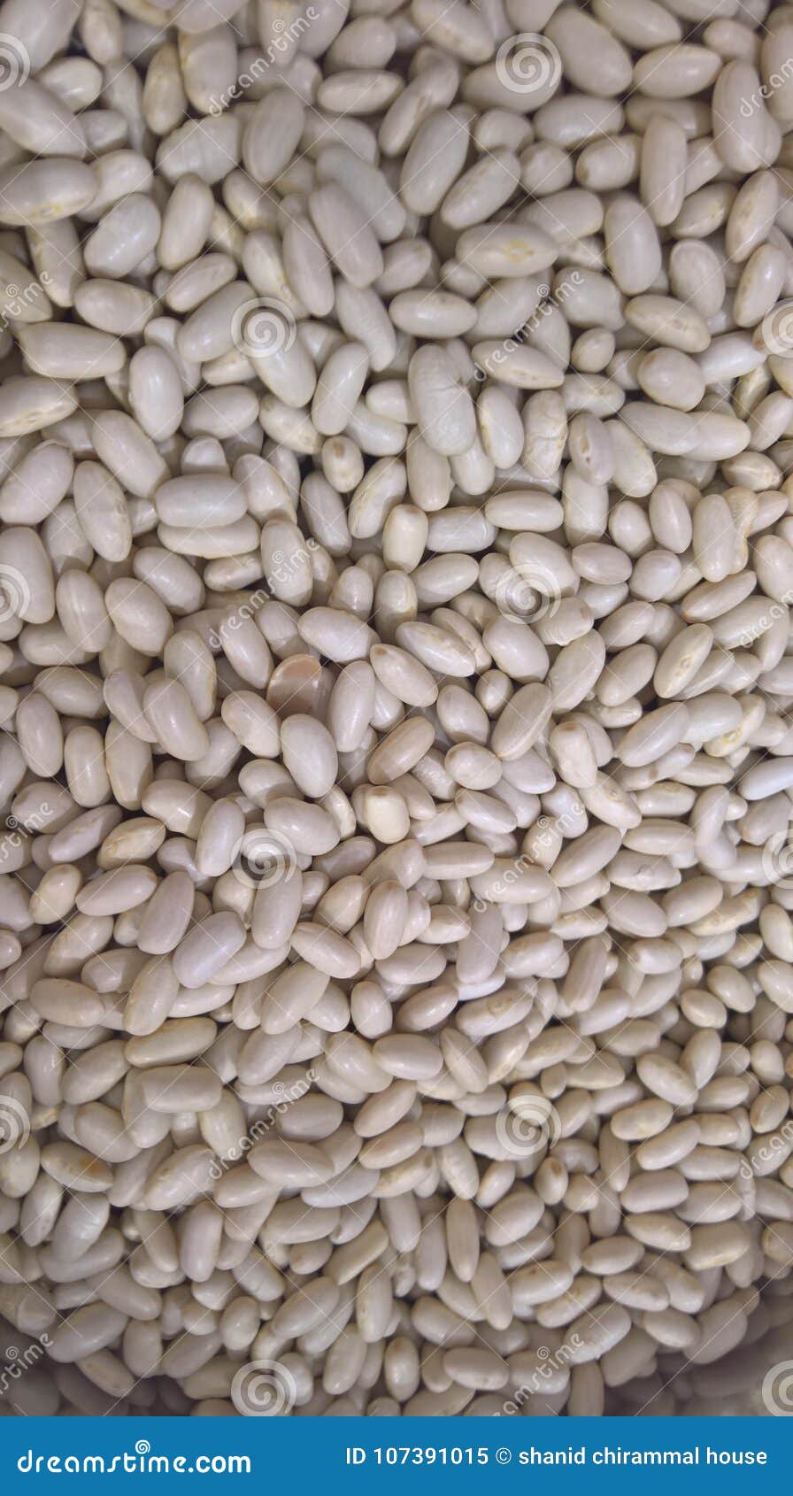 Group of White Sugar Beans. Stock Image - Image of hand, decoration ...