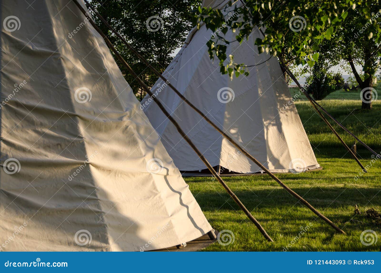 Group of Tipis Standing among the Trees Stock Image - Image of teepee ...