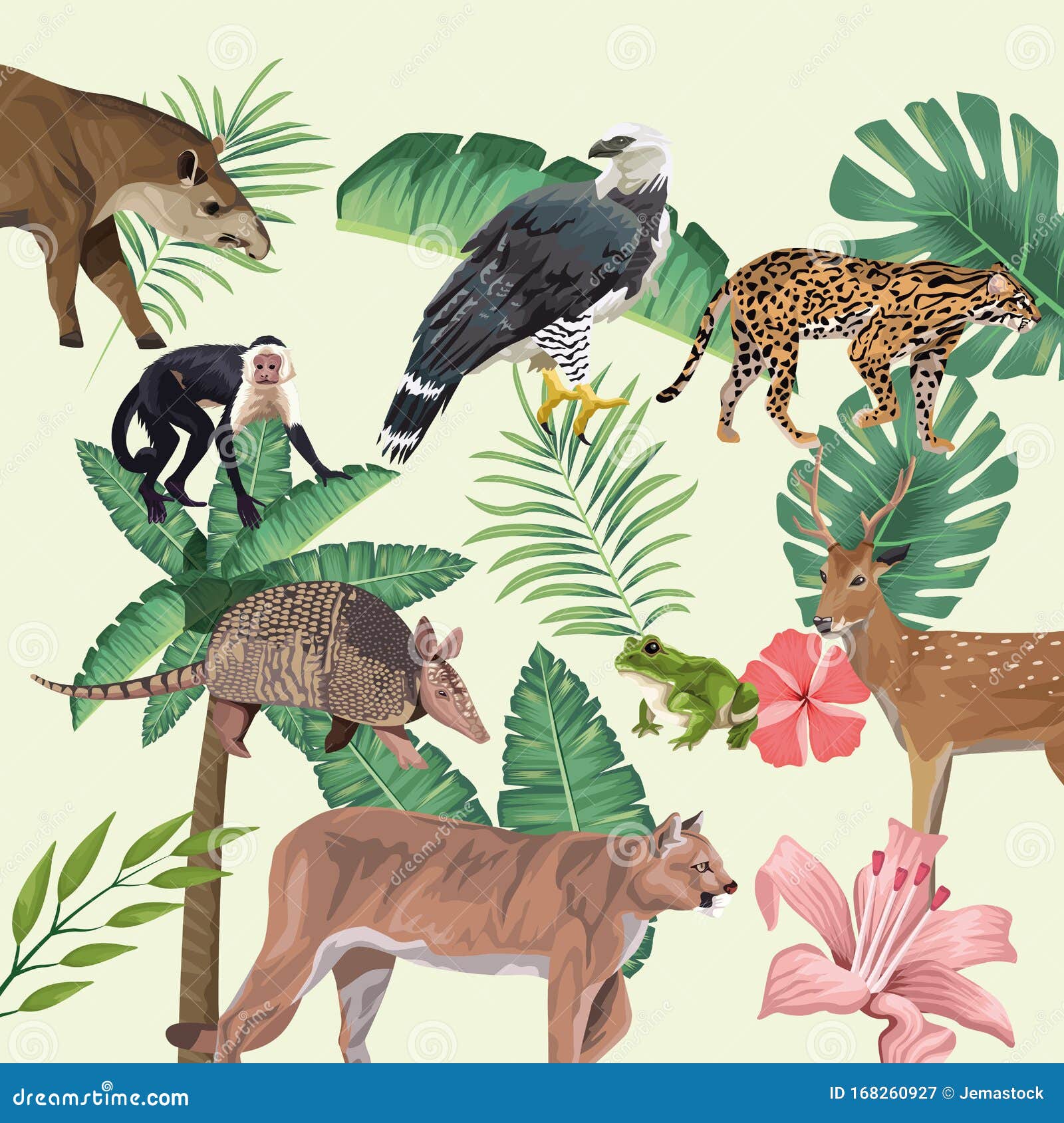 Exotic Sea Animals And Plants Collection Cartoon Vector | CartoonDealer ...