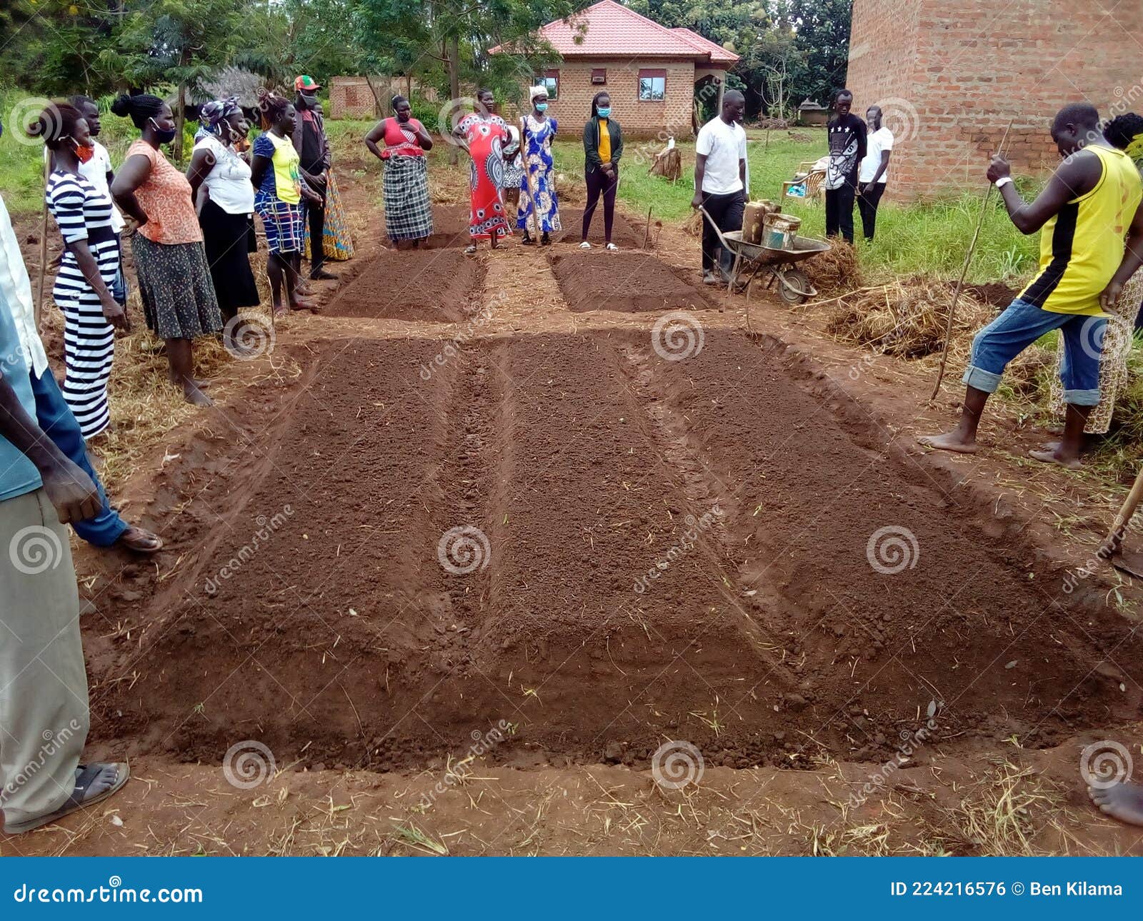 Group Work on Green Agriculture Editorial Photo - Image of group ...