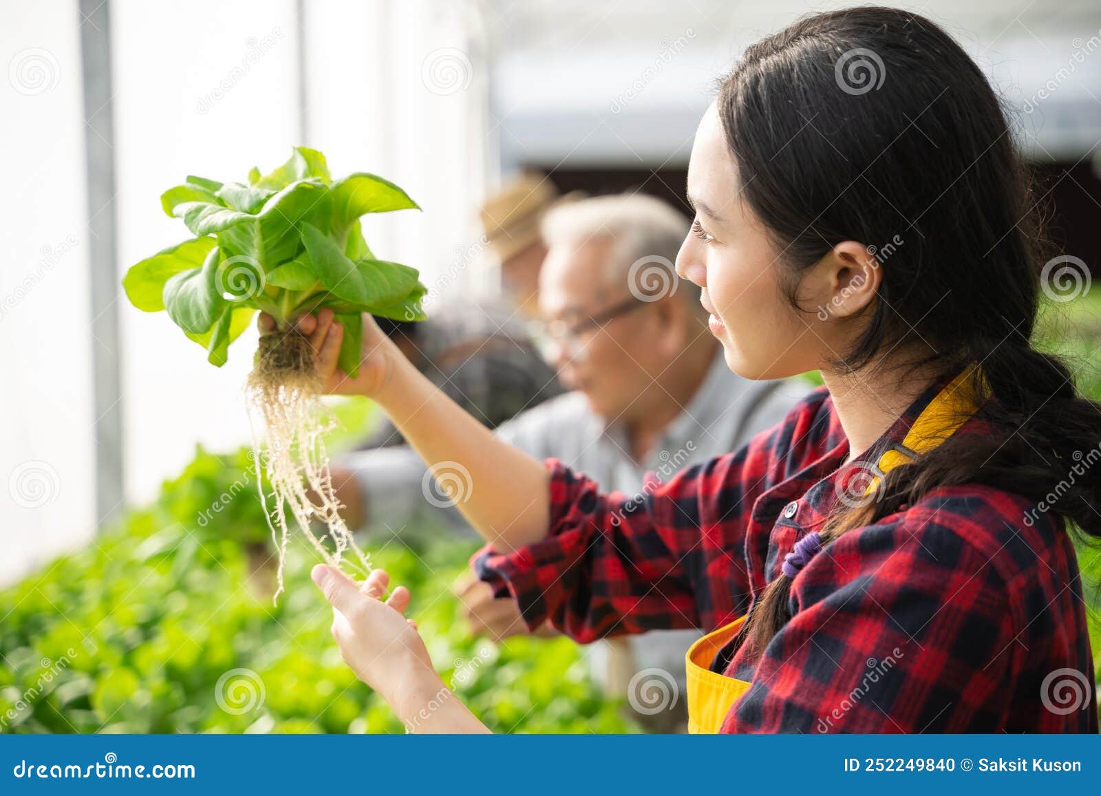 Group of Worker Checking Quality of Organic Vegetables. Stock Photo ...