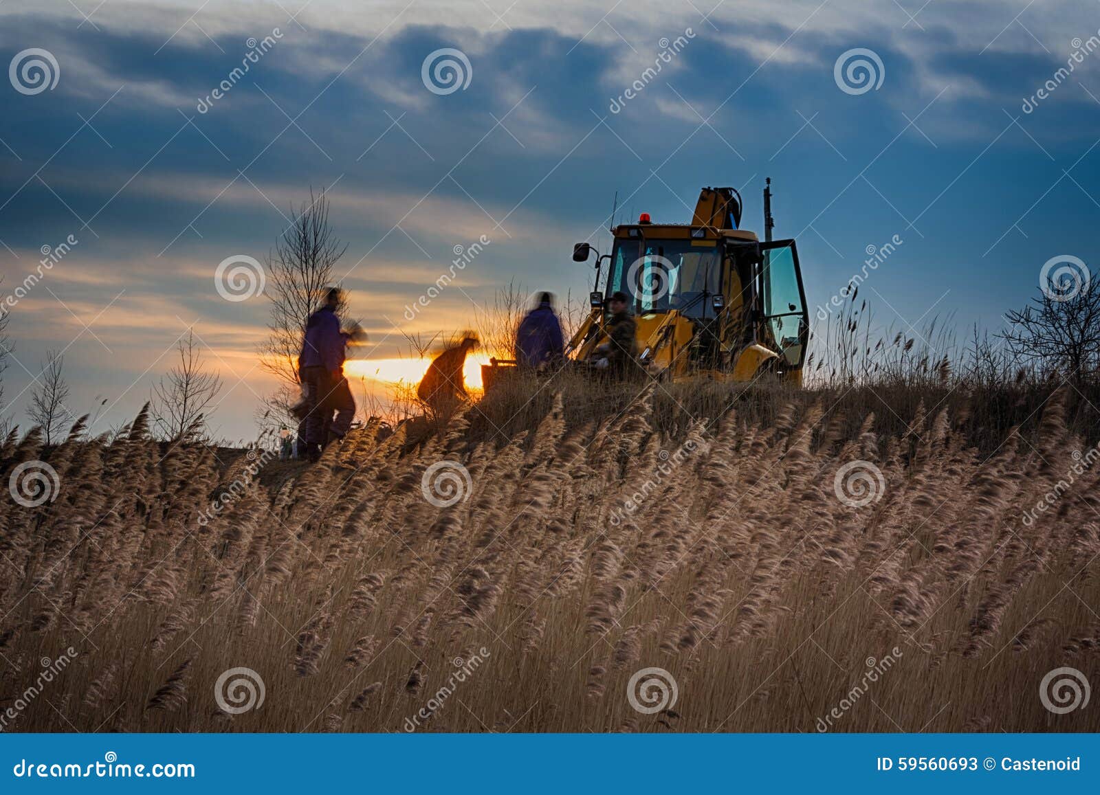 Group of Workers Near the Tractor Stock Image - Image of field, people ...