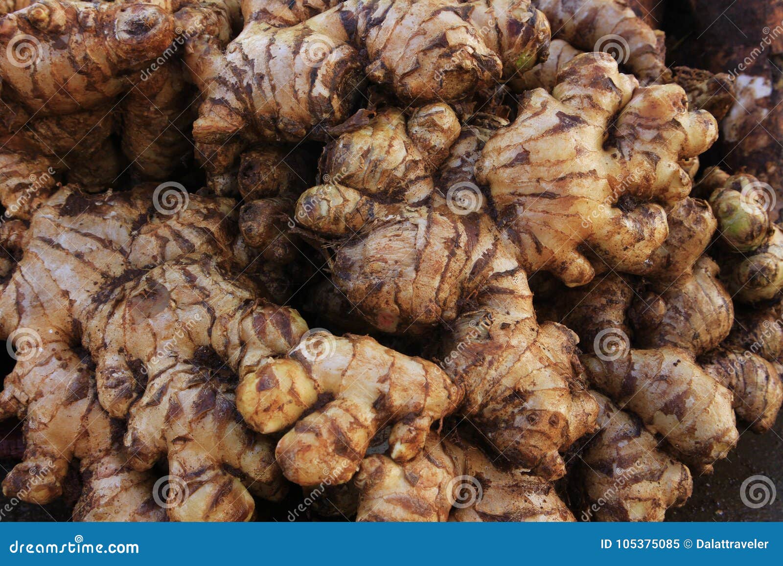 Group of yellow ginger stock image. Image of closeup - 105375085