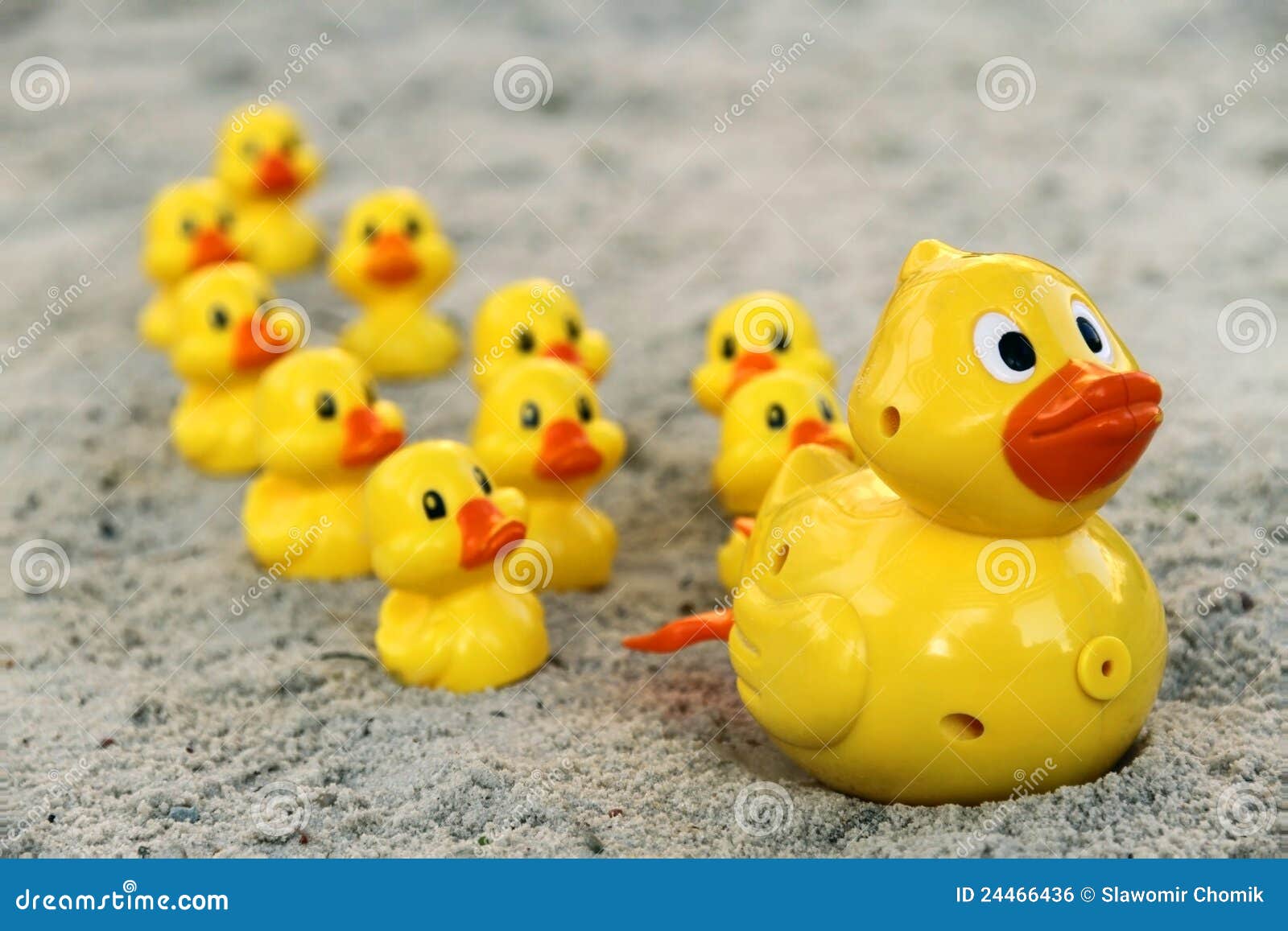 Group of Yellow Plastic Ducks Stock Photo - Image of kids, plastic ...