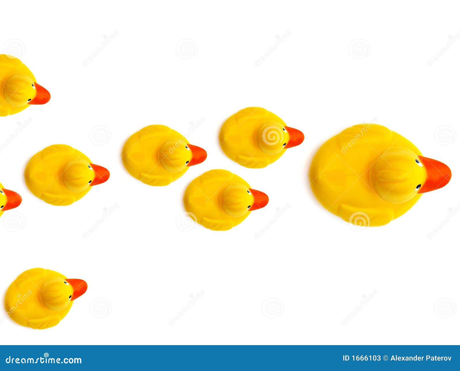 Group a Yellow Rubber Ducks Stock Image - Image of rubber, isolated ...