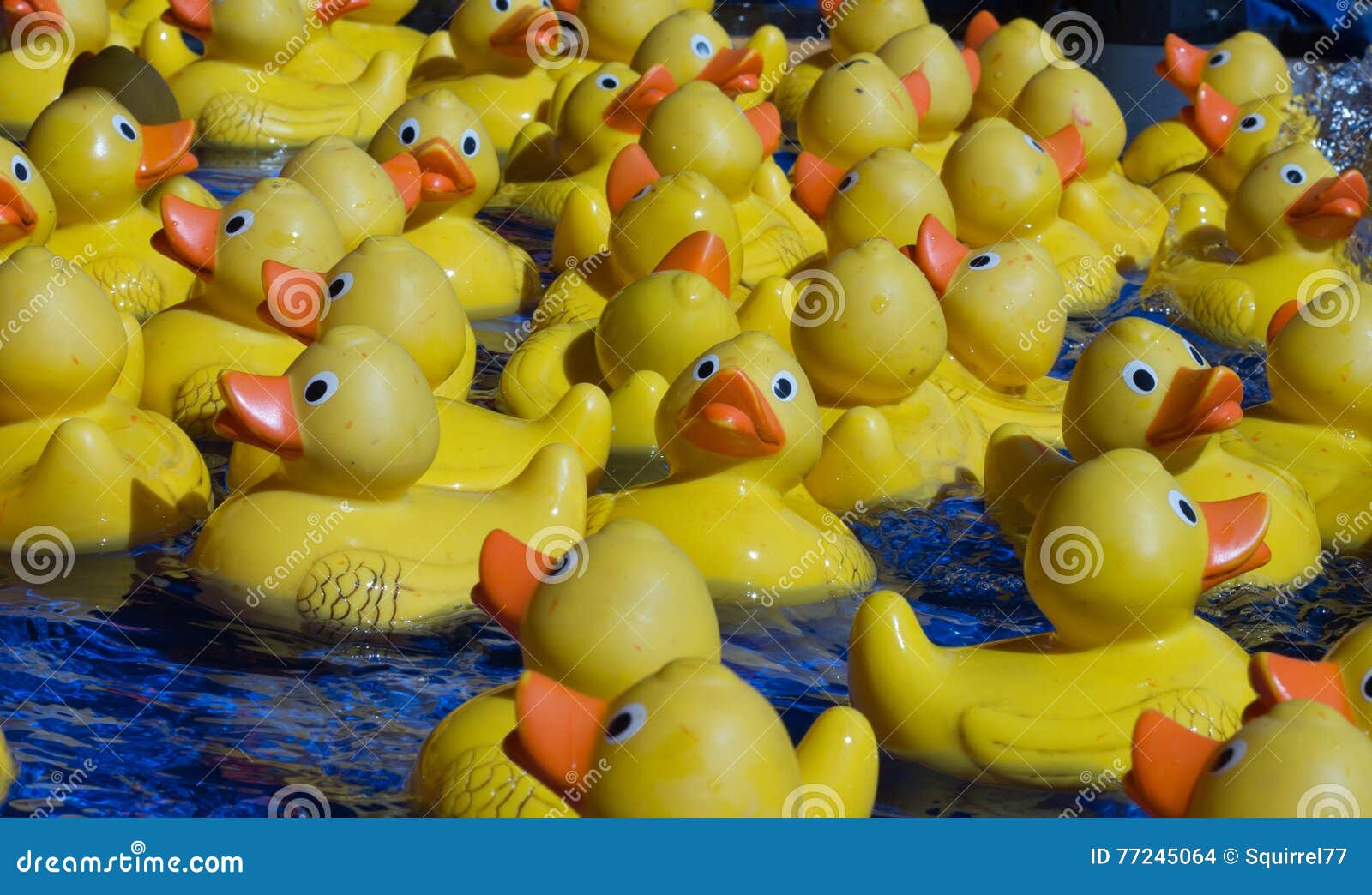 Group Yellow Toy Ducks Floating on Water Stock Photo - Image of beak ...