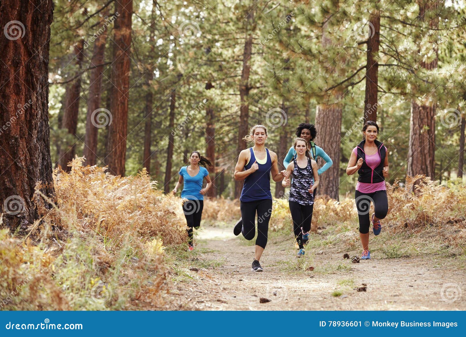 Group of Young Adult Women Running in a Forest Stock Image - Image of ...
