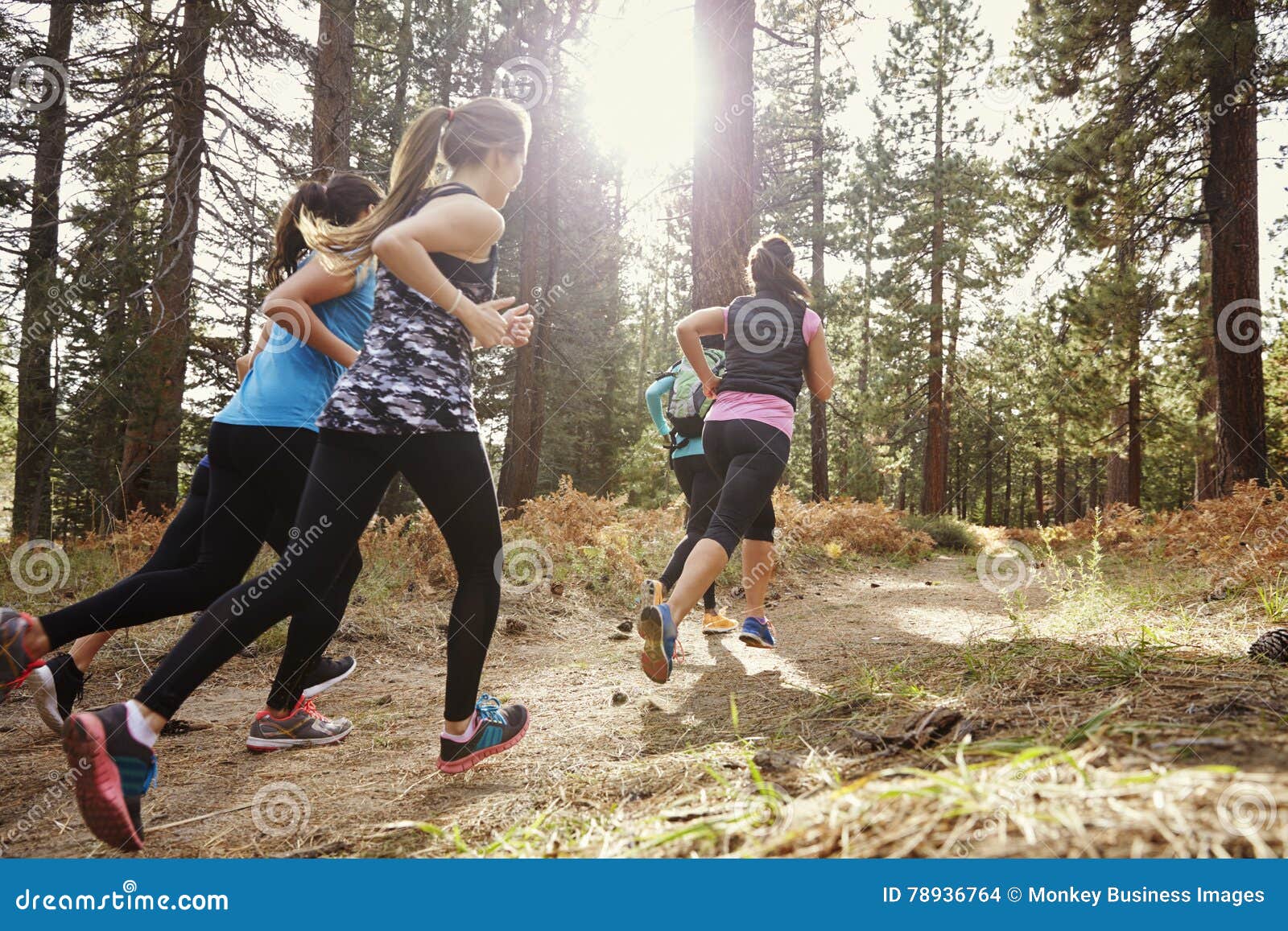 Group of Young Adult Women Running in a Forest, Back View Stock Photo ...