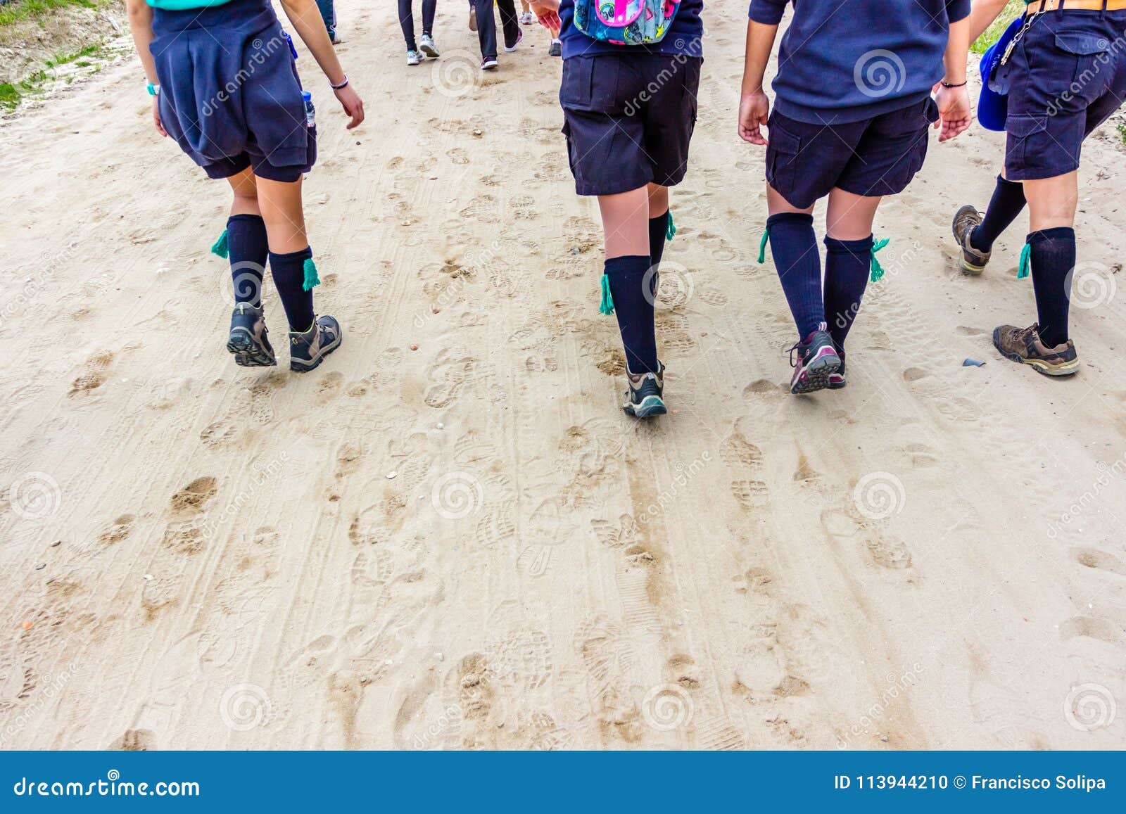 Group of Young Boy Scouts during Hiking Excursion in the Forest ...