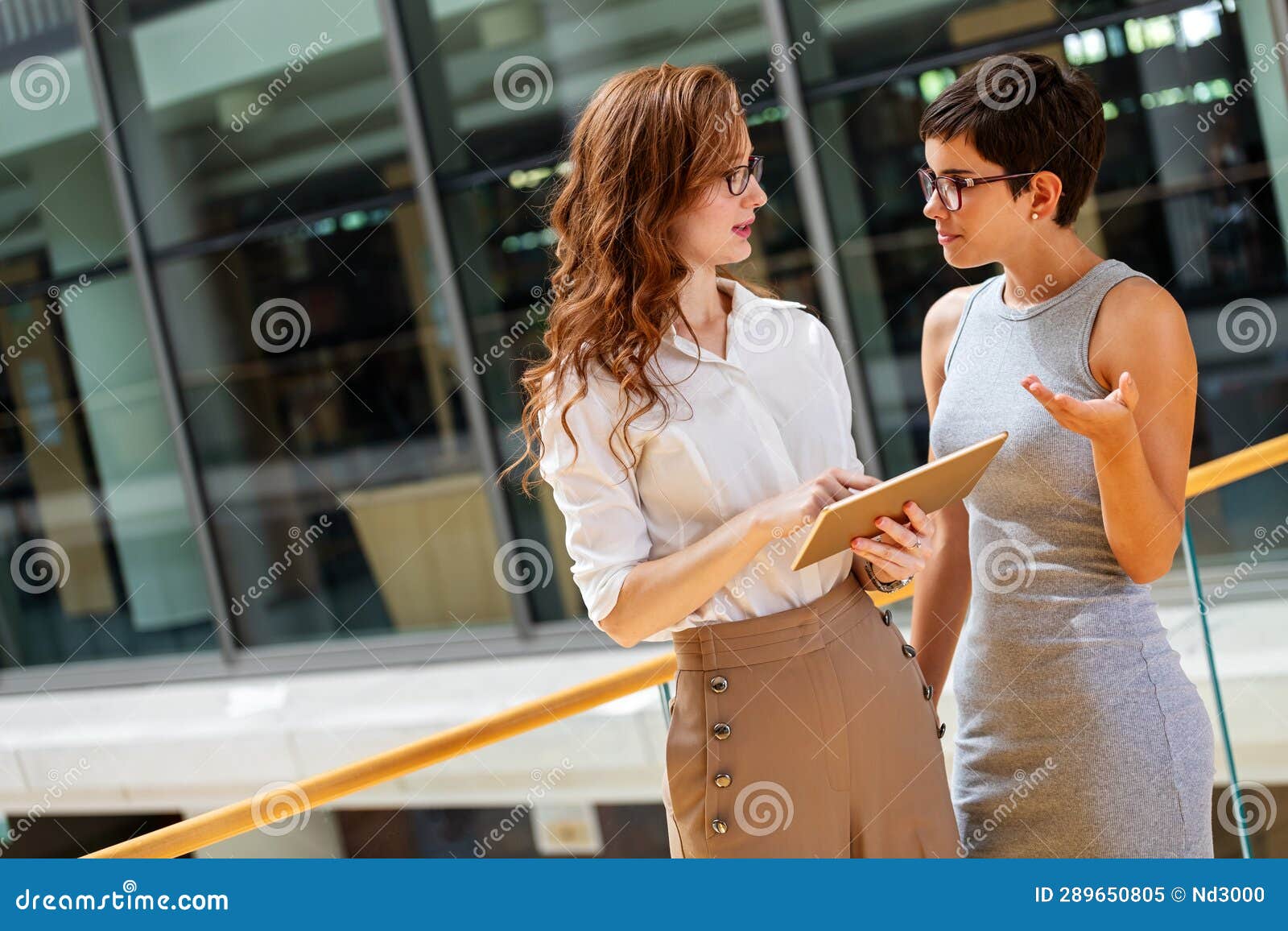 Group of Young Business People Working and Communicating at the Office ...