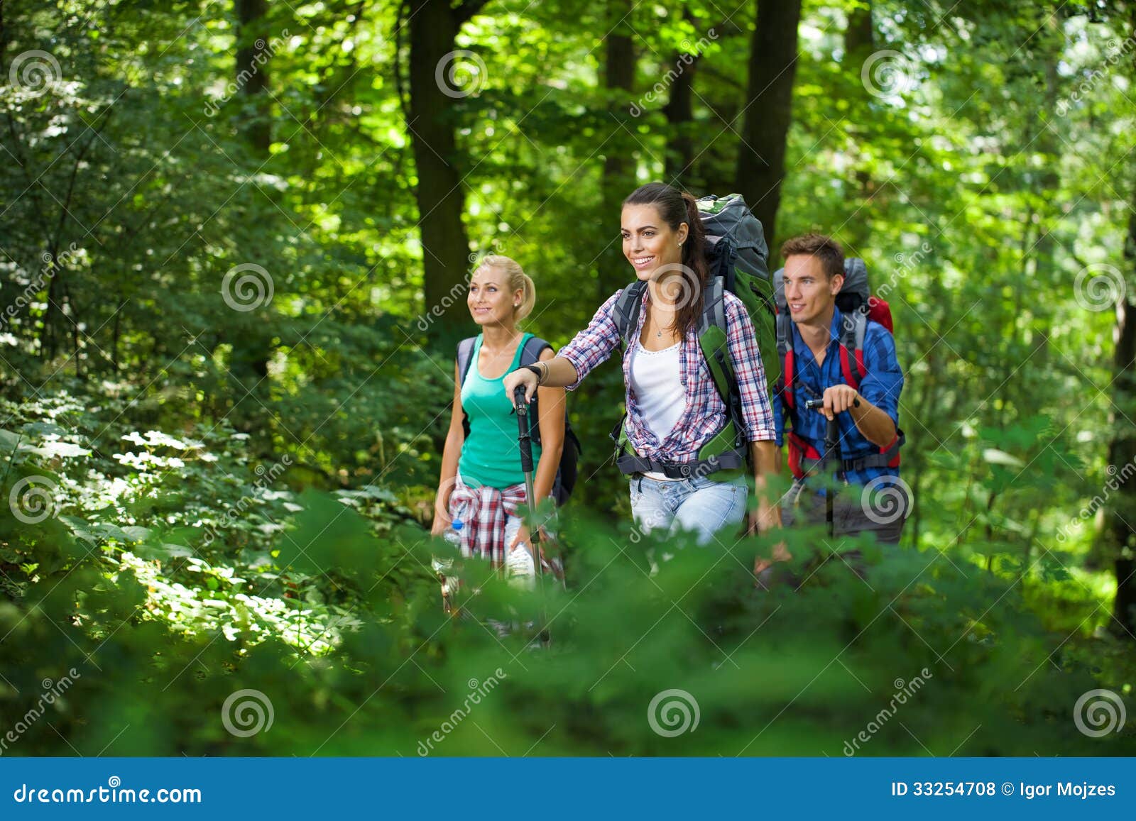 Group of Young Hikers in the Mountains Stock Photo - Image of group ...