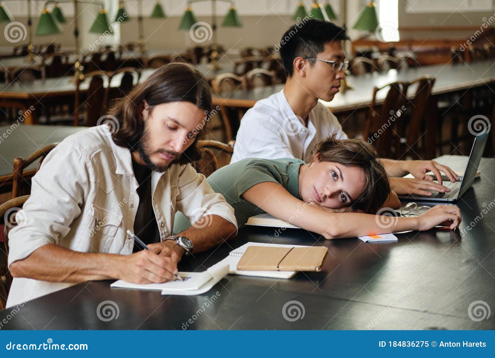 Group of Young Multinational Students Studying Together in Library of ...