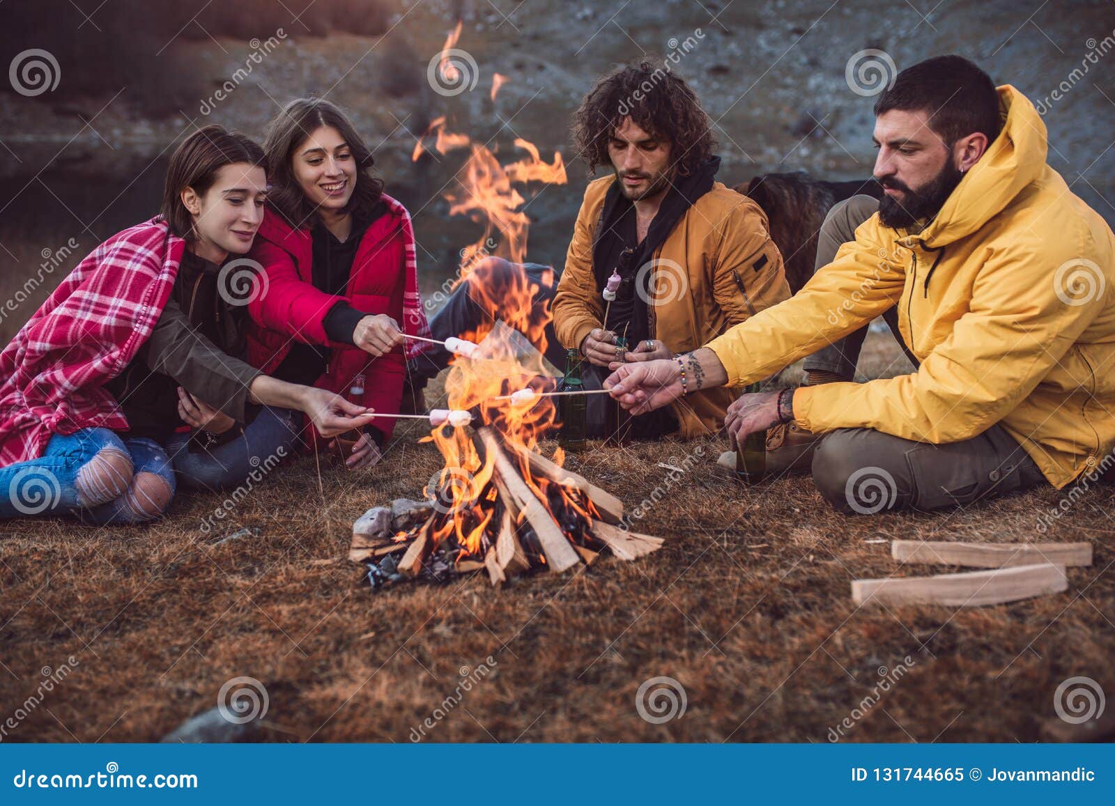 Group of Young Friends Around Camp Fire Stock Image - Image of camping ...