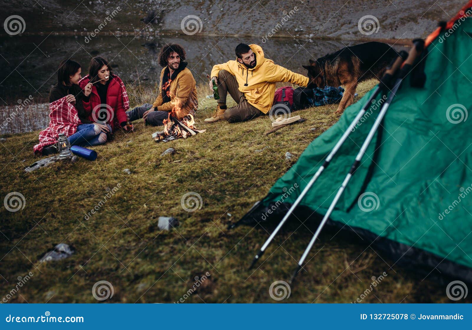 Group of Young Friends Around Camp Fire Stock Photo - Image of adult ...