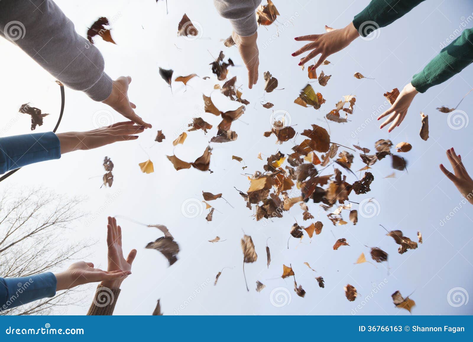 Group of Young People Throwing Leaves Stock Image - Image of enjoyment ...