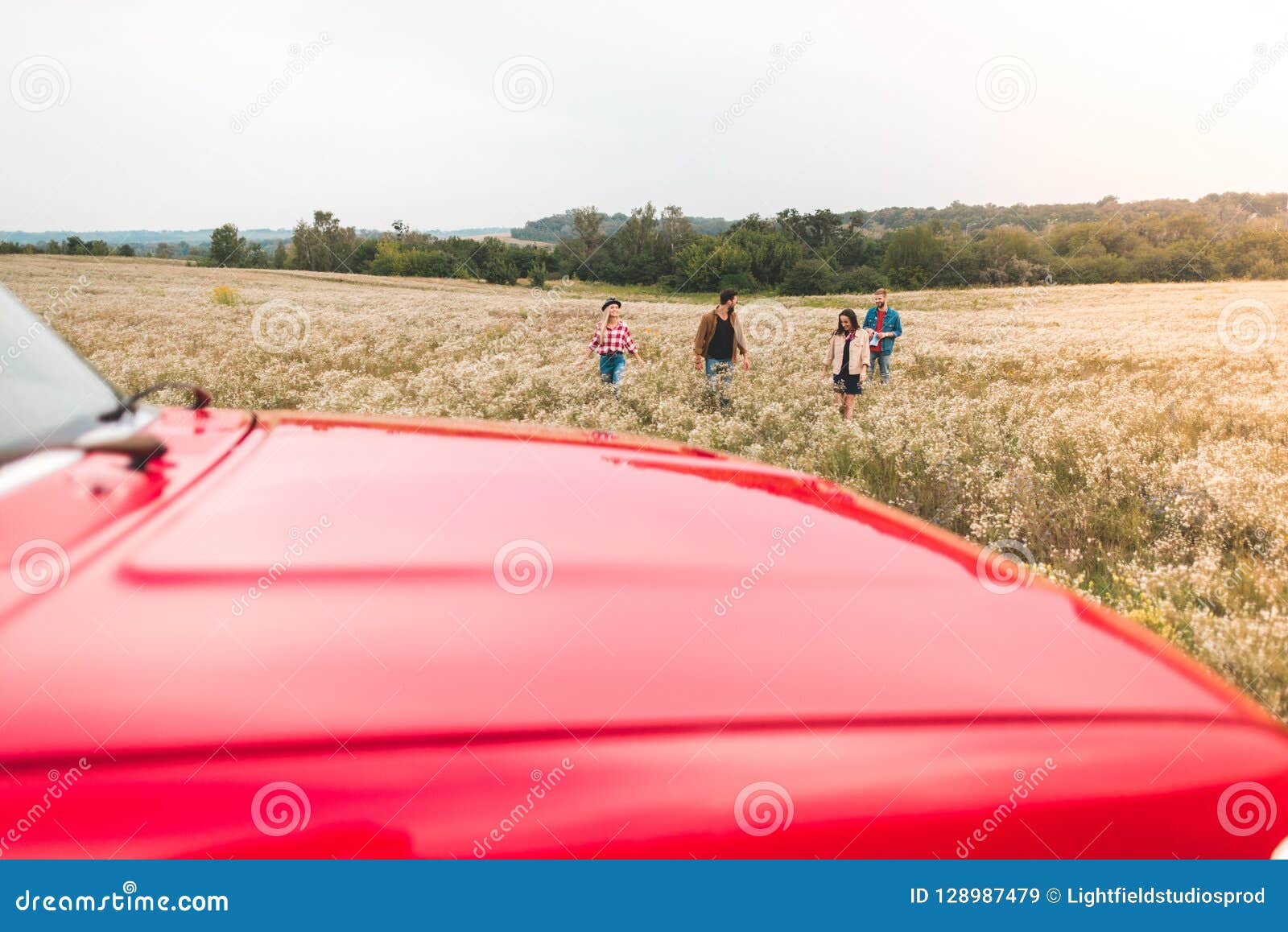 Group of Young People Walking by Flower Field during Stock Image ...