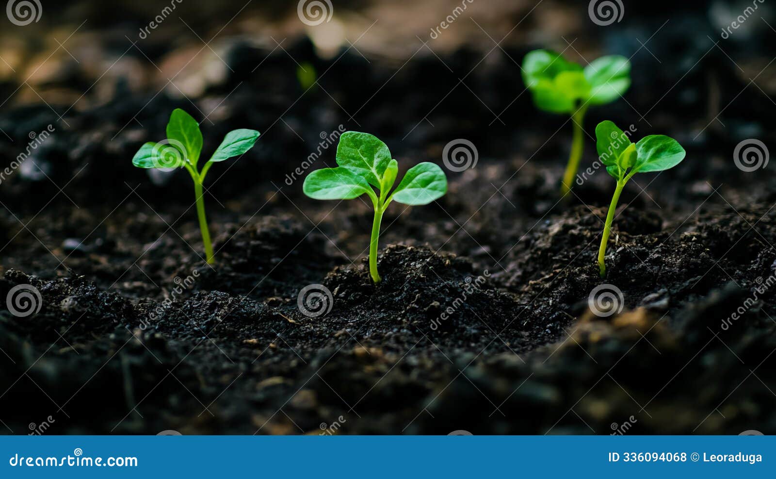 A Group of Young Plants Growing Out of the Ground Stock Illustration ...
