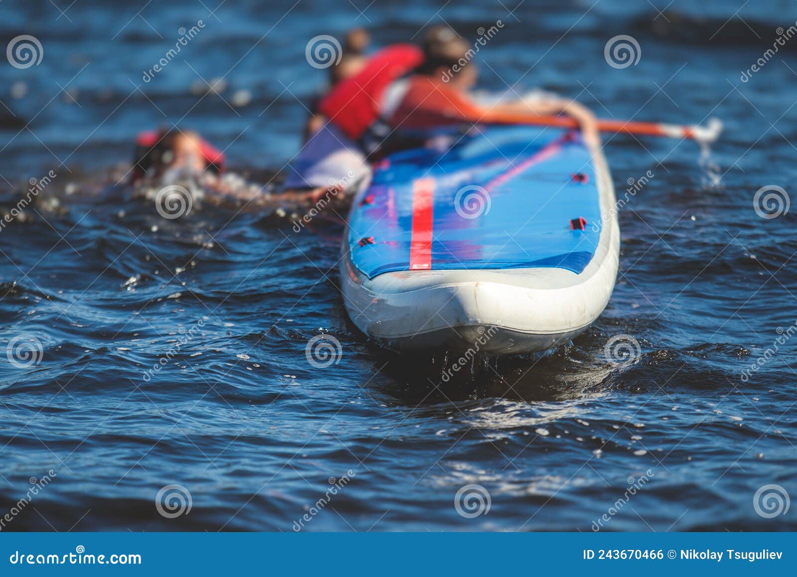 Group of Young Sup Surfers Fall from SUP Stand Up Paddle Board, Women ...