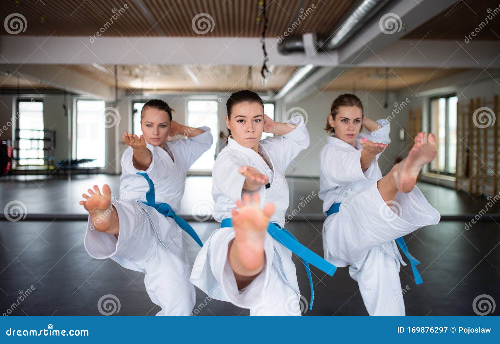 Group of Young Women Practising Karate Indoors in Gym. Stock Image ...