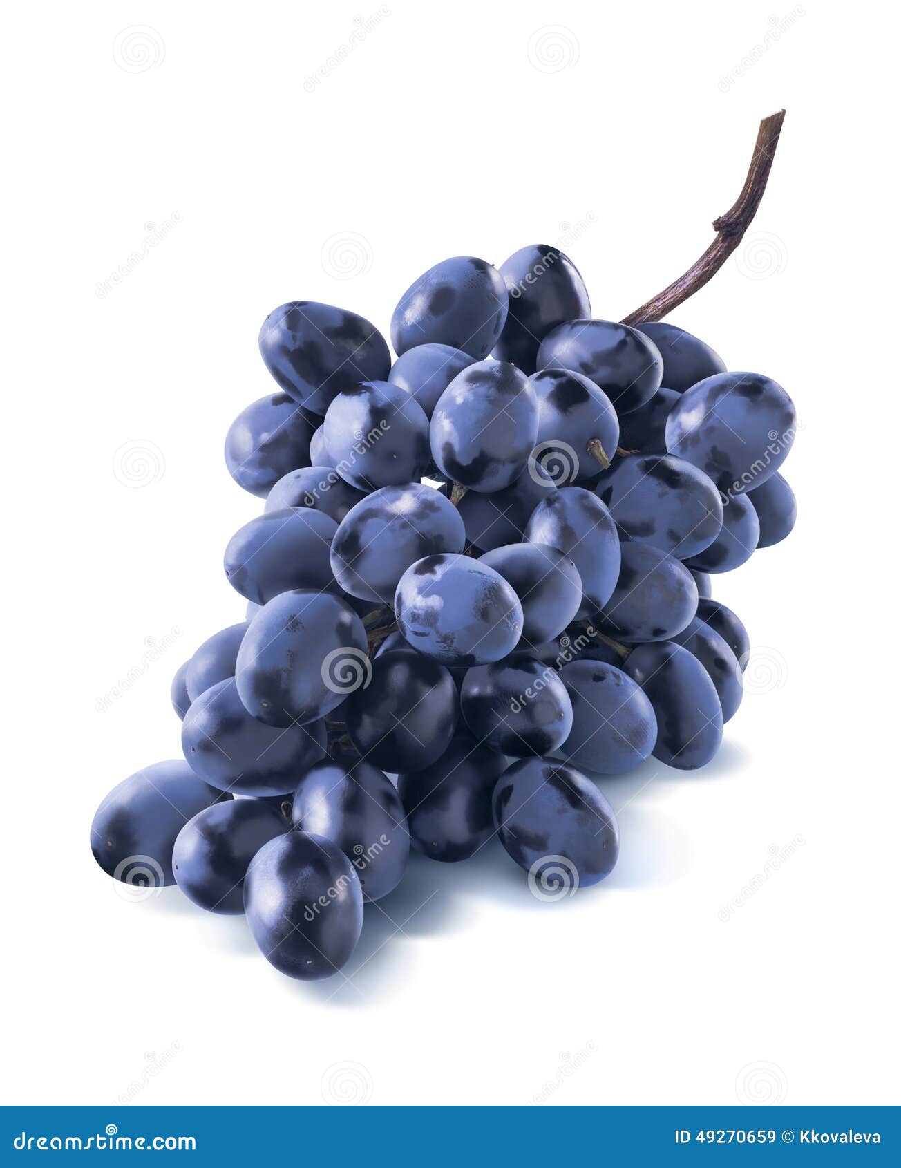 Groupe Bleu Sec Diagonal De Raisins D'isolement Sur Le Blanc Image ...