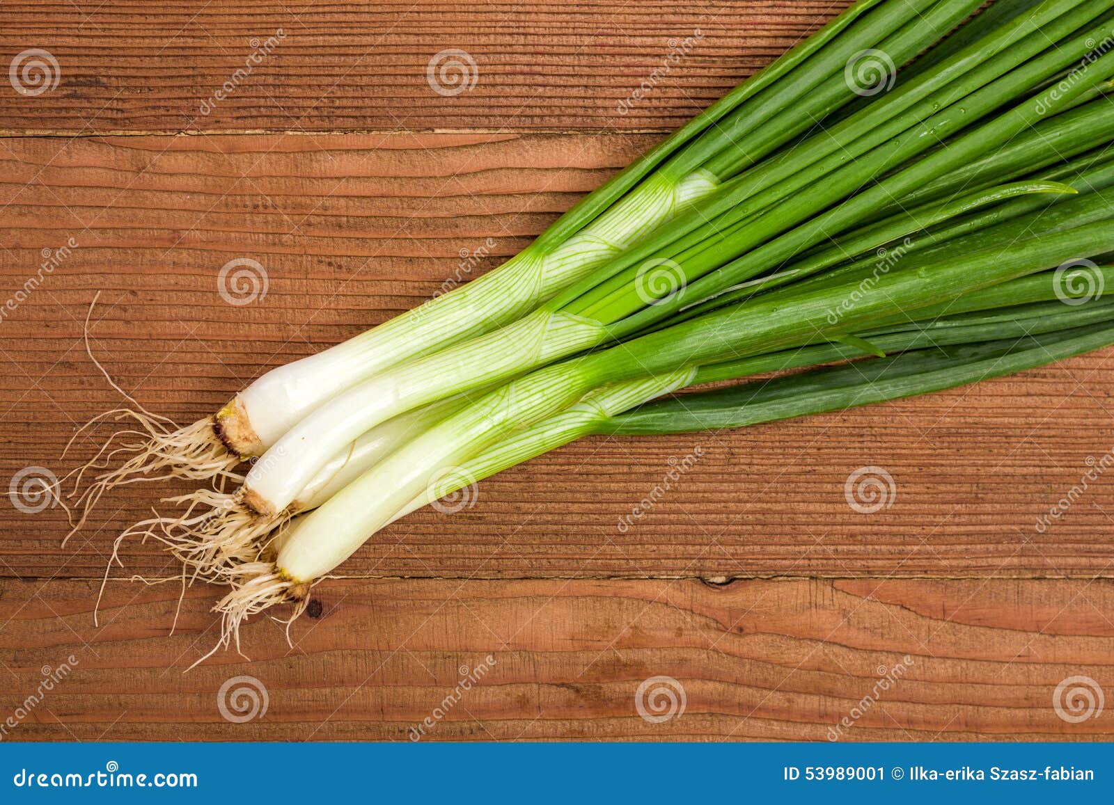 Groupe D'oignons Blancs Frais Image stock - Image du comestible ...