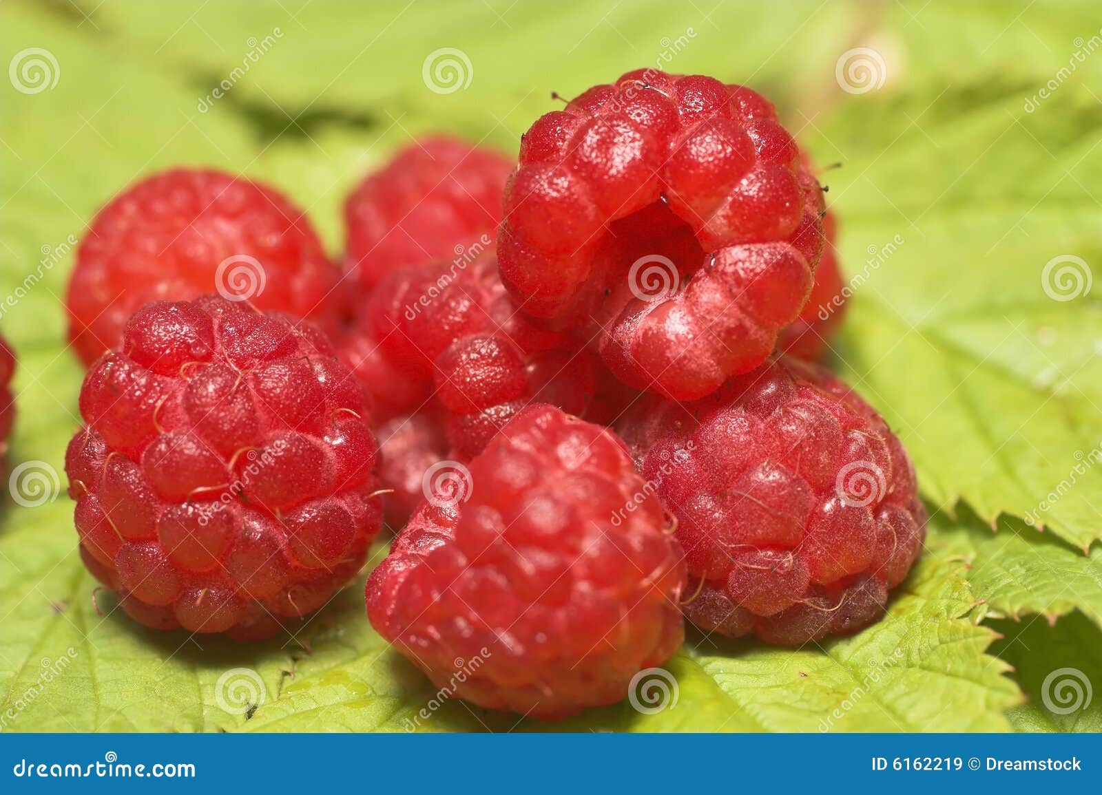 Groupe De Framboises Image. Image: 6162219