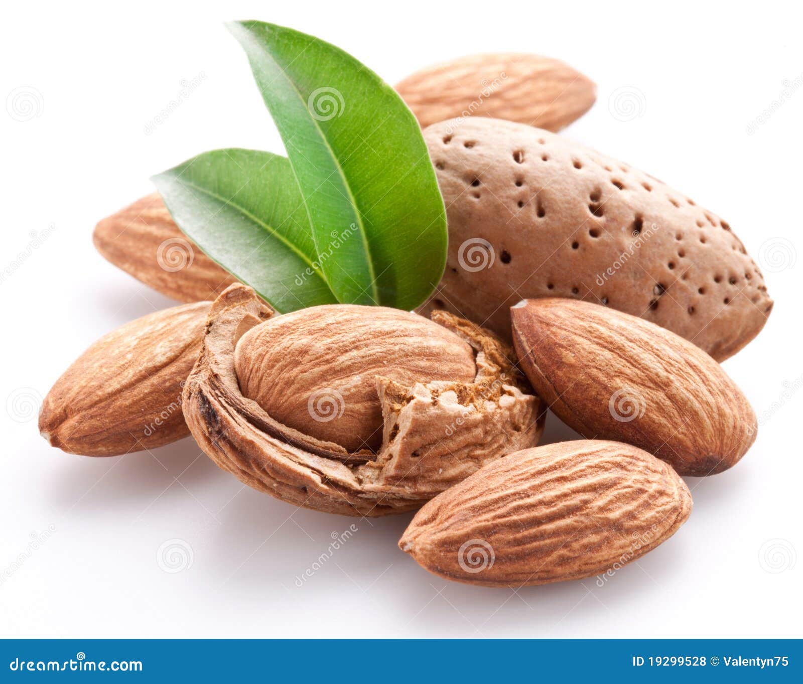 Groupe de noix d'amande. photo stock. Image du savoureux - 19299528