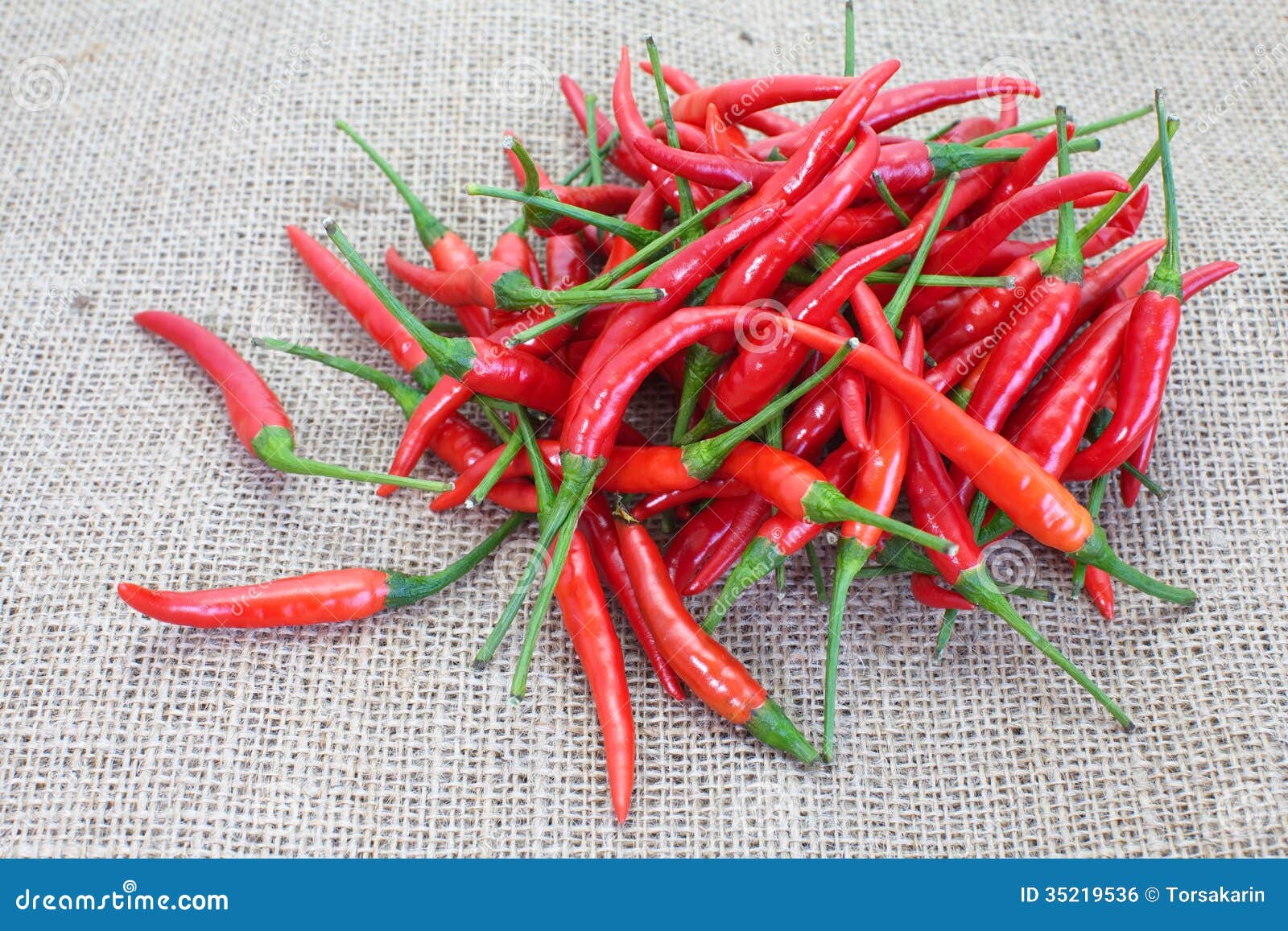 Groupe de piments rouges photo stock. Image du poivre - 35219536