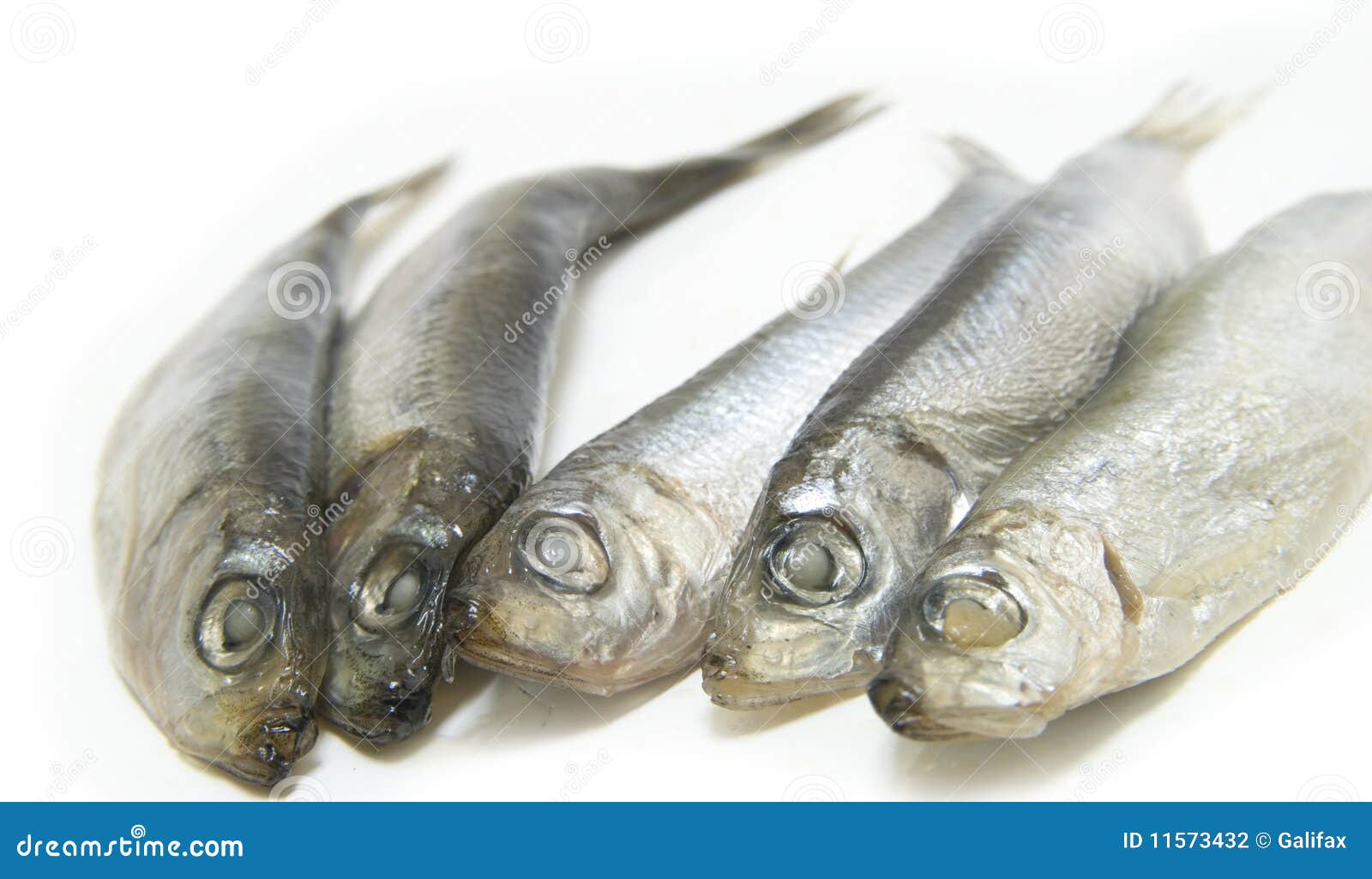 Groupe De Poissons D'esprot Photo stock - Image du blanchailles, isolement: 11573432