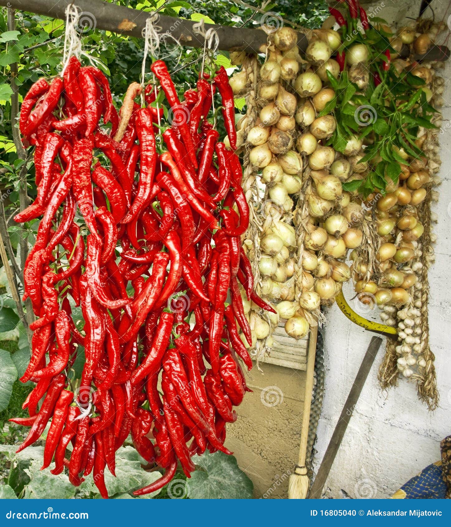 Groupe De Poivrons Rouges Et D'ail Photo stock - Image du groupe ...