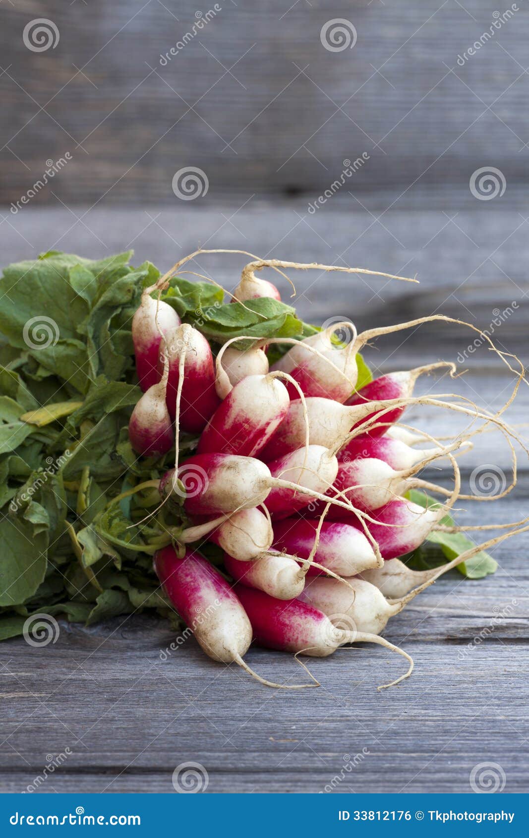 Groupe de radis photo stock. Image of gris, table, nourriture - 33812176