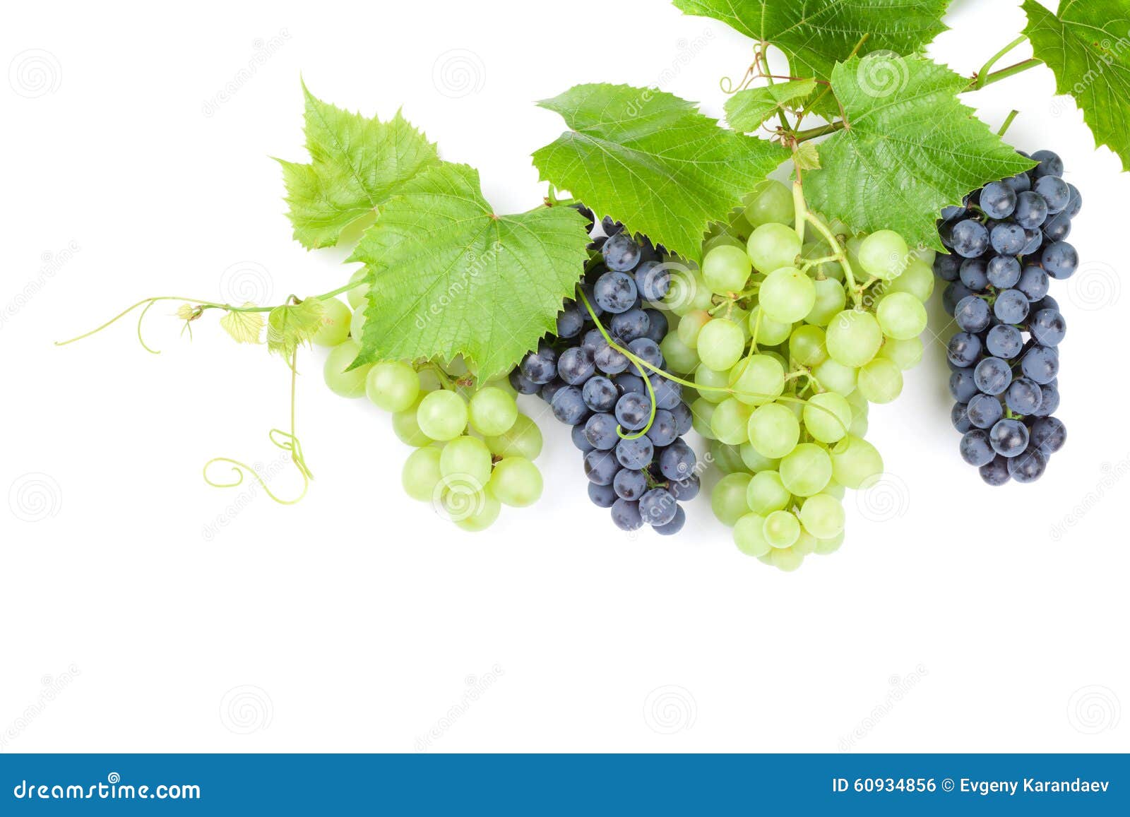 Groupe De Raisins Rouges Et Blancs Photo stock - Image du vert, raisins ...