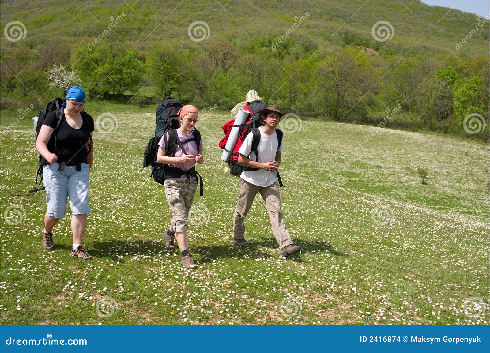 Groupe de touriste photo stock. Image du déplacement, loisirs - 2416874