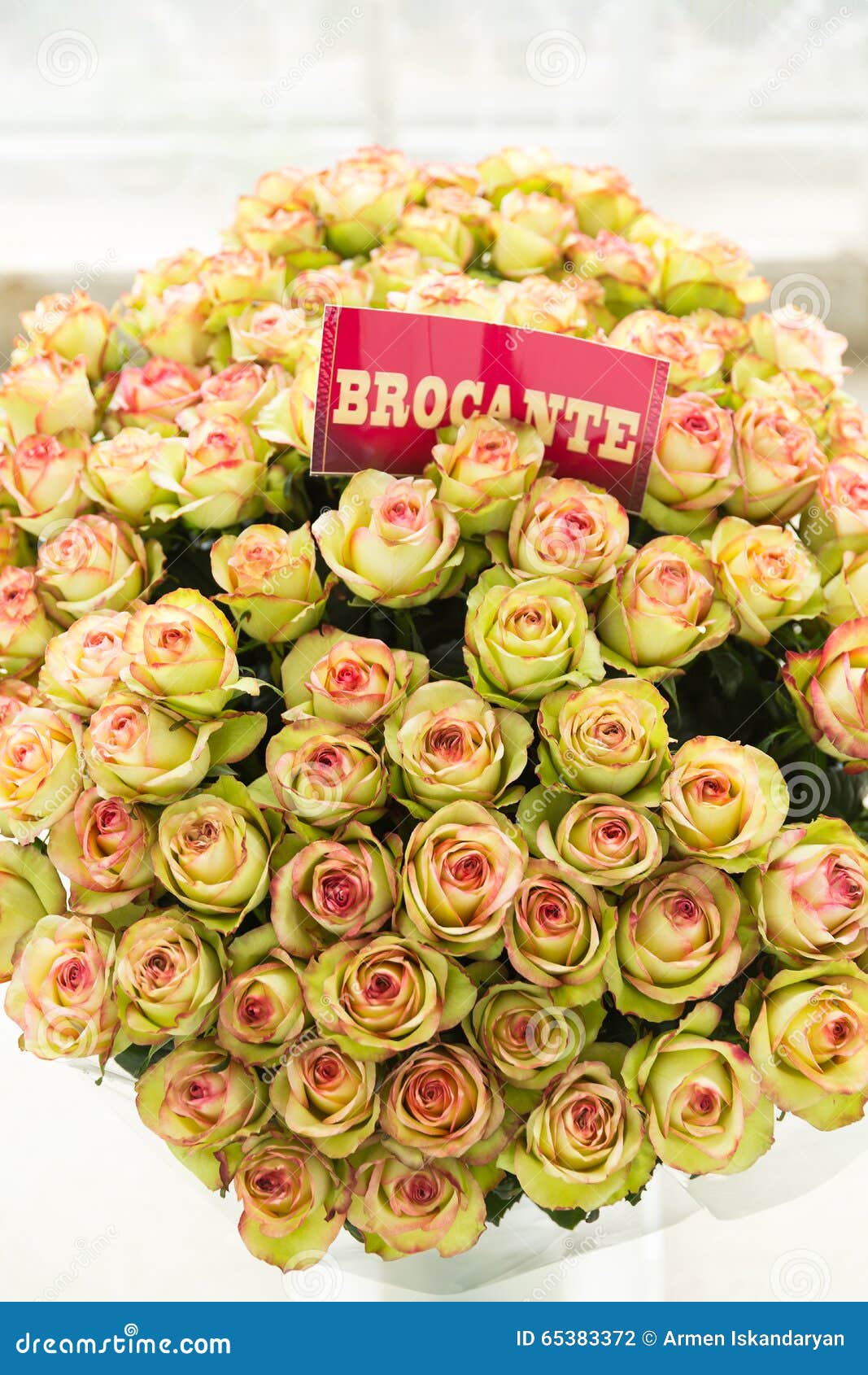 Groupe rose de Brocante photo stock. Image du rouge, jardinage - 65383372