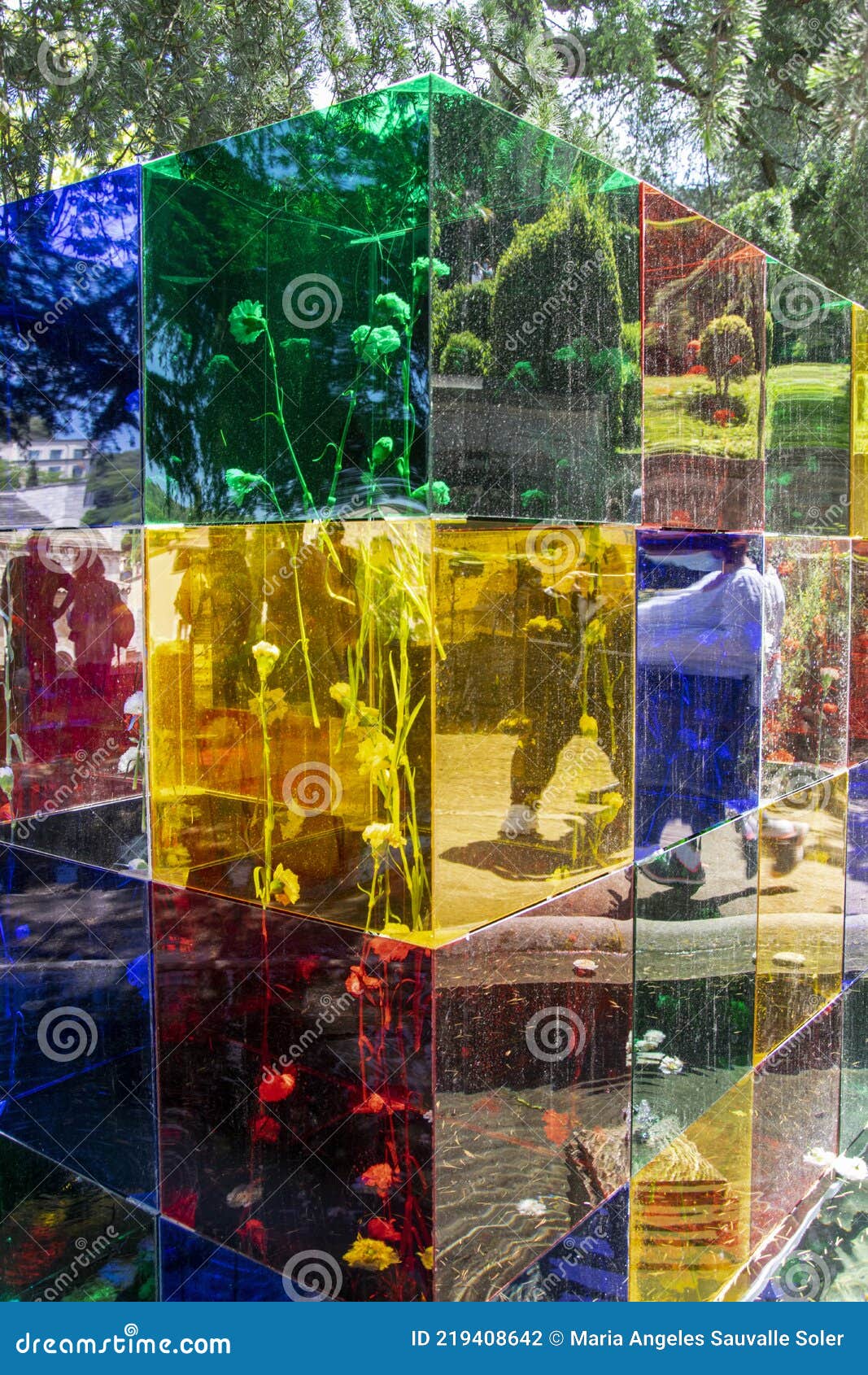 Colored cubes. stock photo. Image of reflected, transparent - 219408642