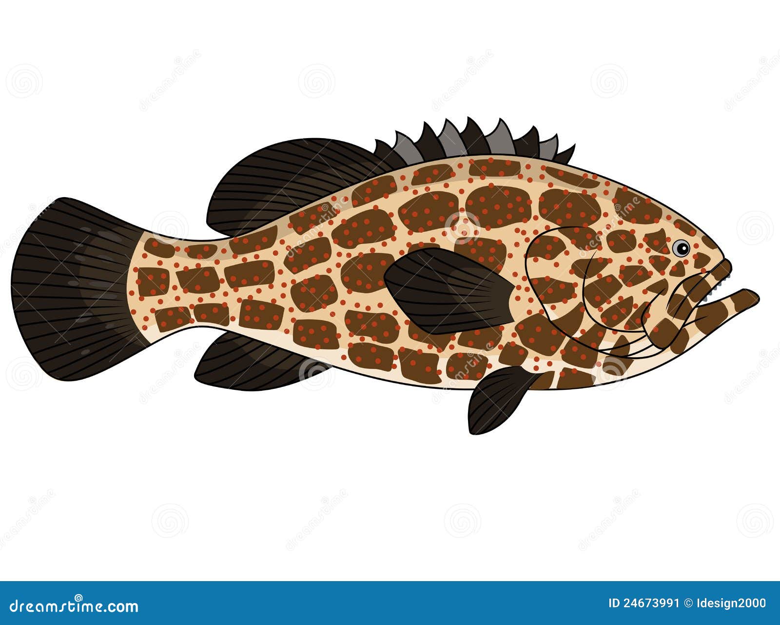 Grouper fish cartoon stock vector. Illustration of angling - 24673991