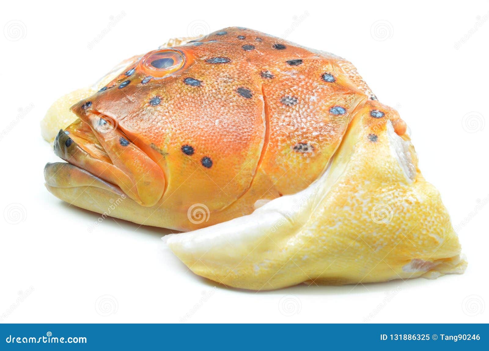 Grouper Fish Head on White Background Stock Image - Image of diet ...