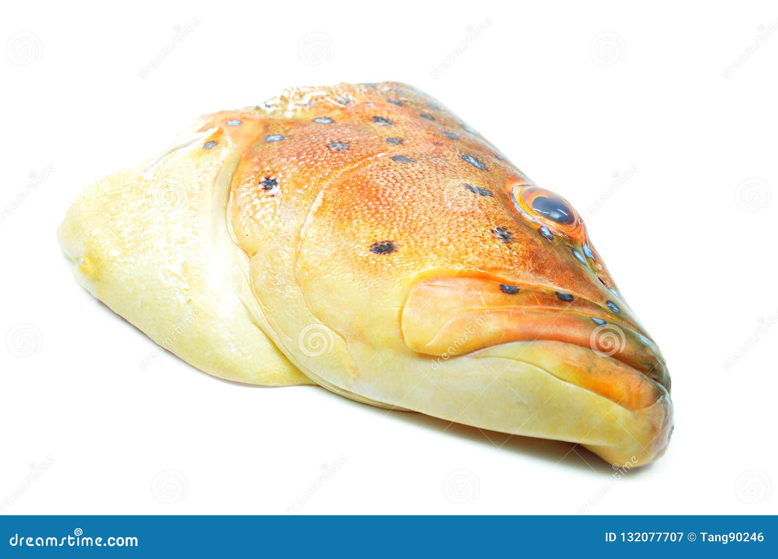 Grouper Fish Head on White Background Stock Image - Image of delicious ...